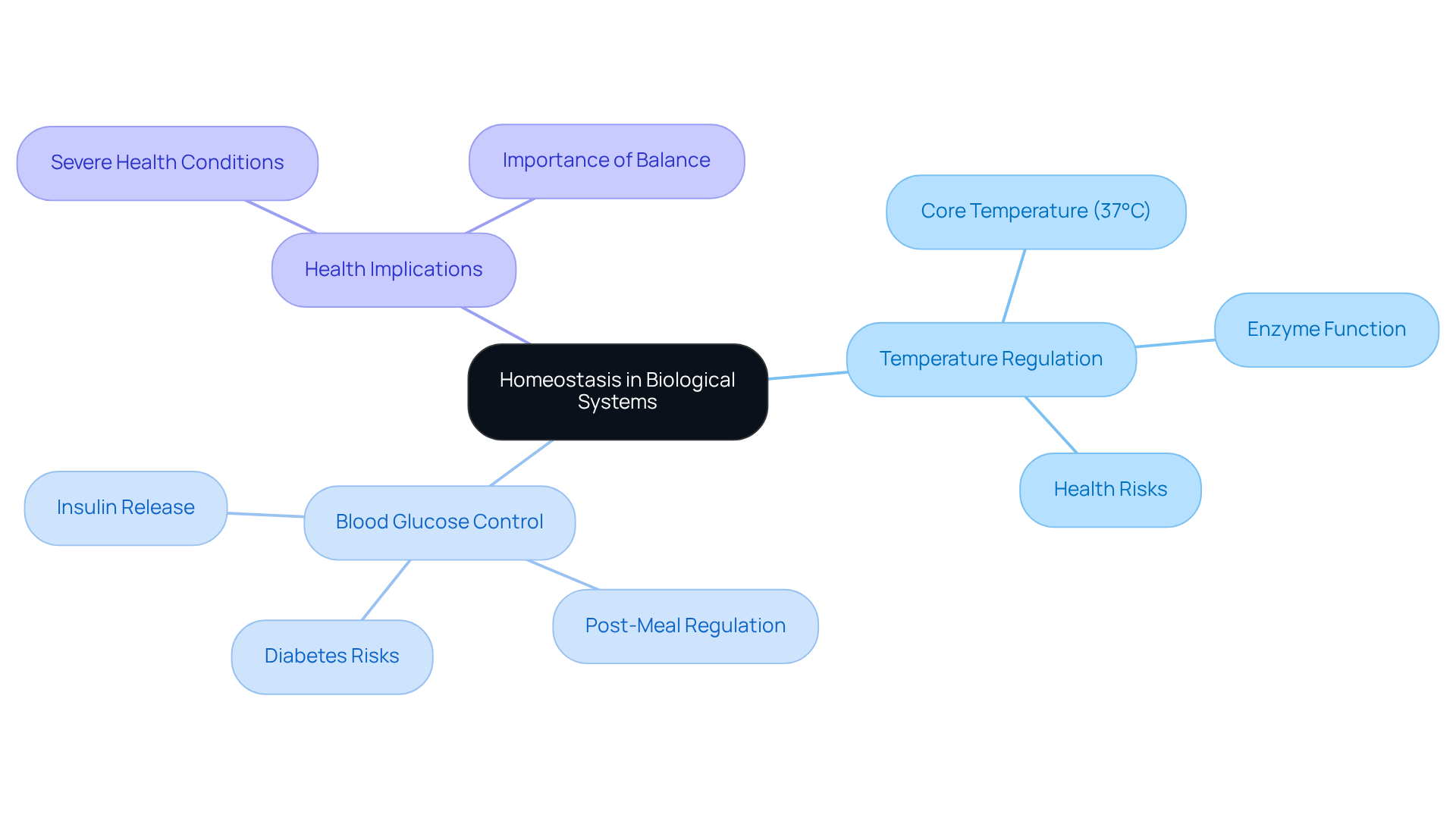The central idea is homeostasis, with branches showing different types and their importance. Each branch explains how these systems work and why they matter for health.