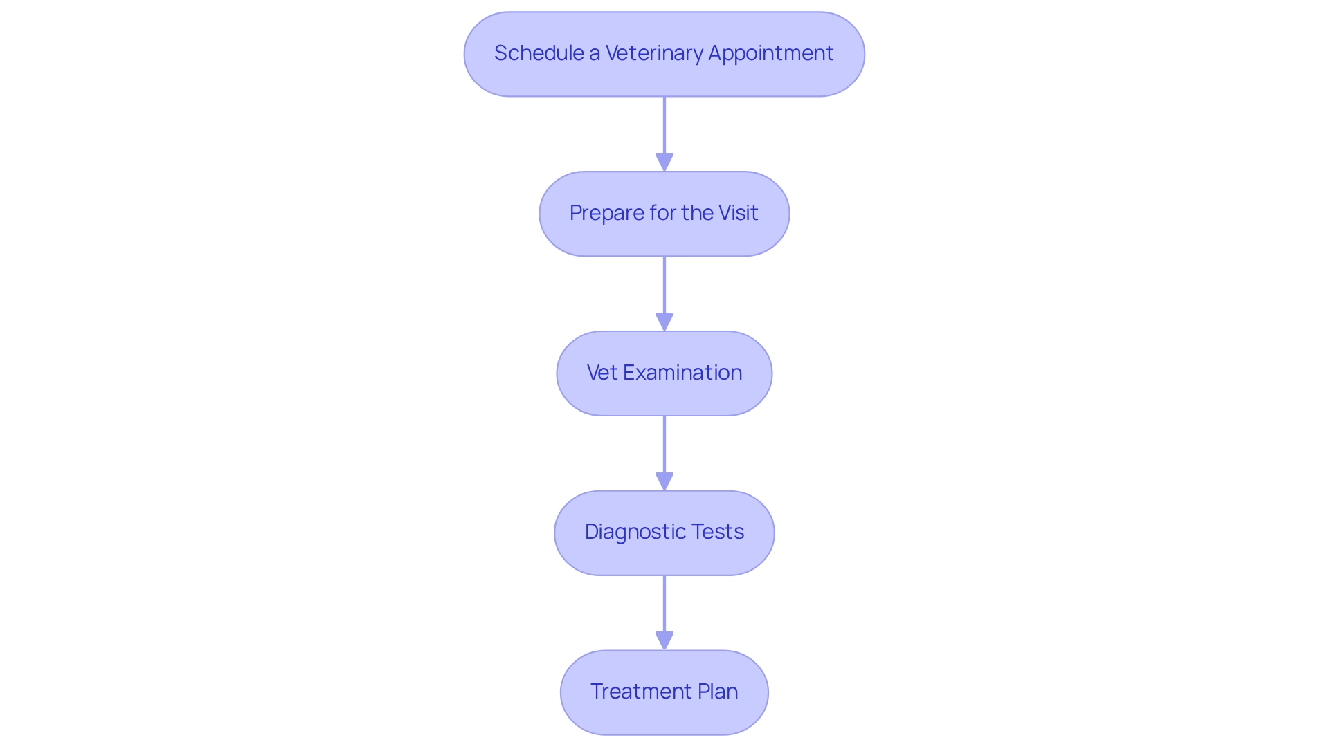 Each box represents a step in caring for your pet's eye health. Follow the arrows to see how to navigate the process from noticing symptoms to receiving a treatment plan.