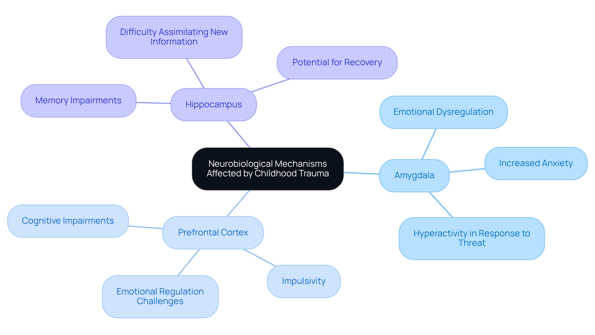 This mindmap shows how childhood trauma affects different areas of the brain and their related functions. Each branch represents a brain area, while the sub-branches highlight the consequences of those changes. Follow the branches to understand the connections between trauma and its effects.