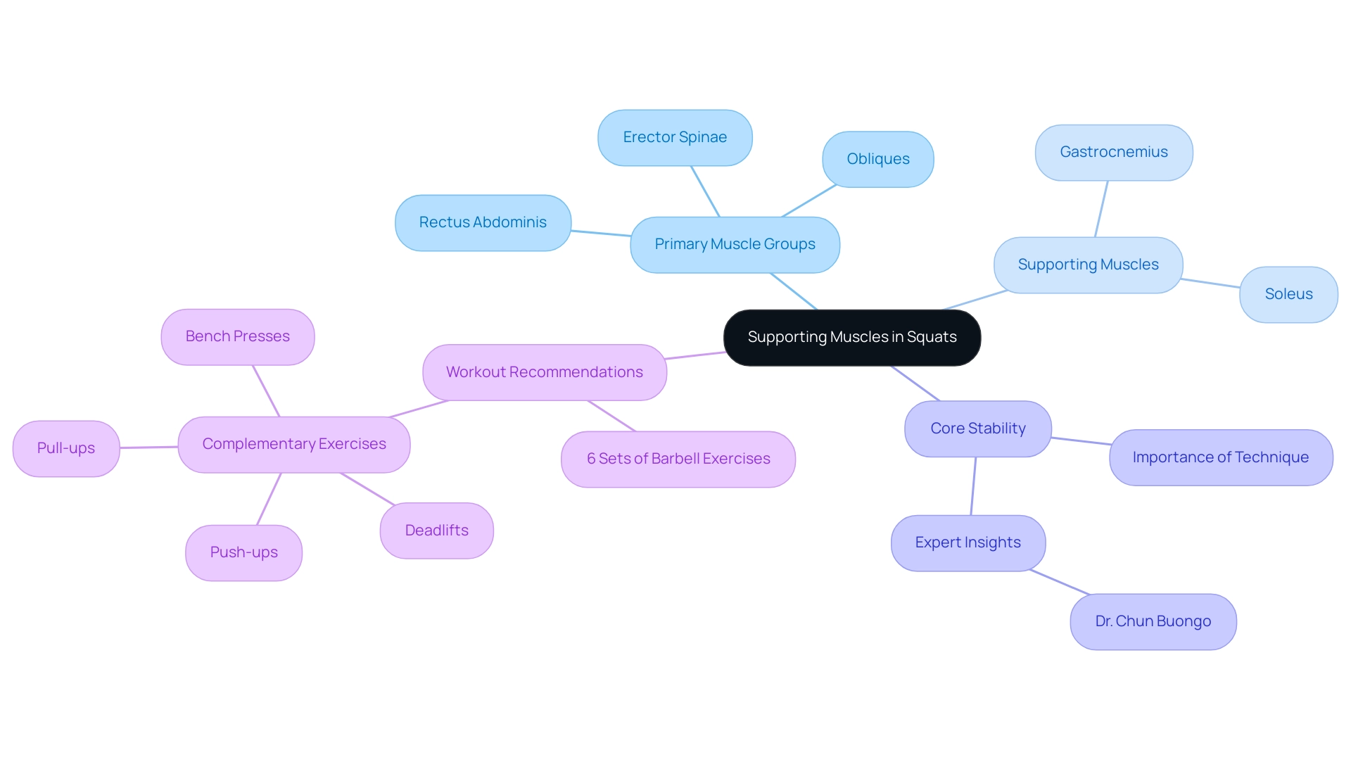 The central node represents the main topic, with branches indicating primary muscle groups, supporting roles, and workout strategies, along with their respective subcategories.