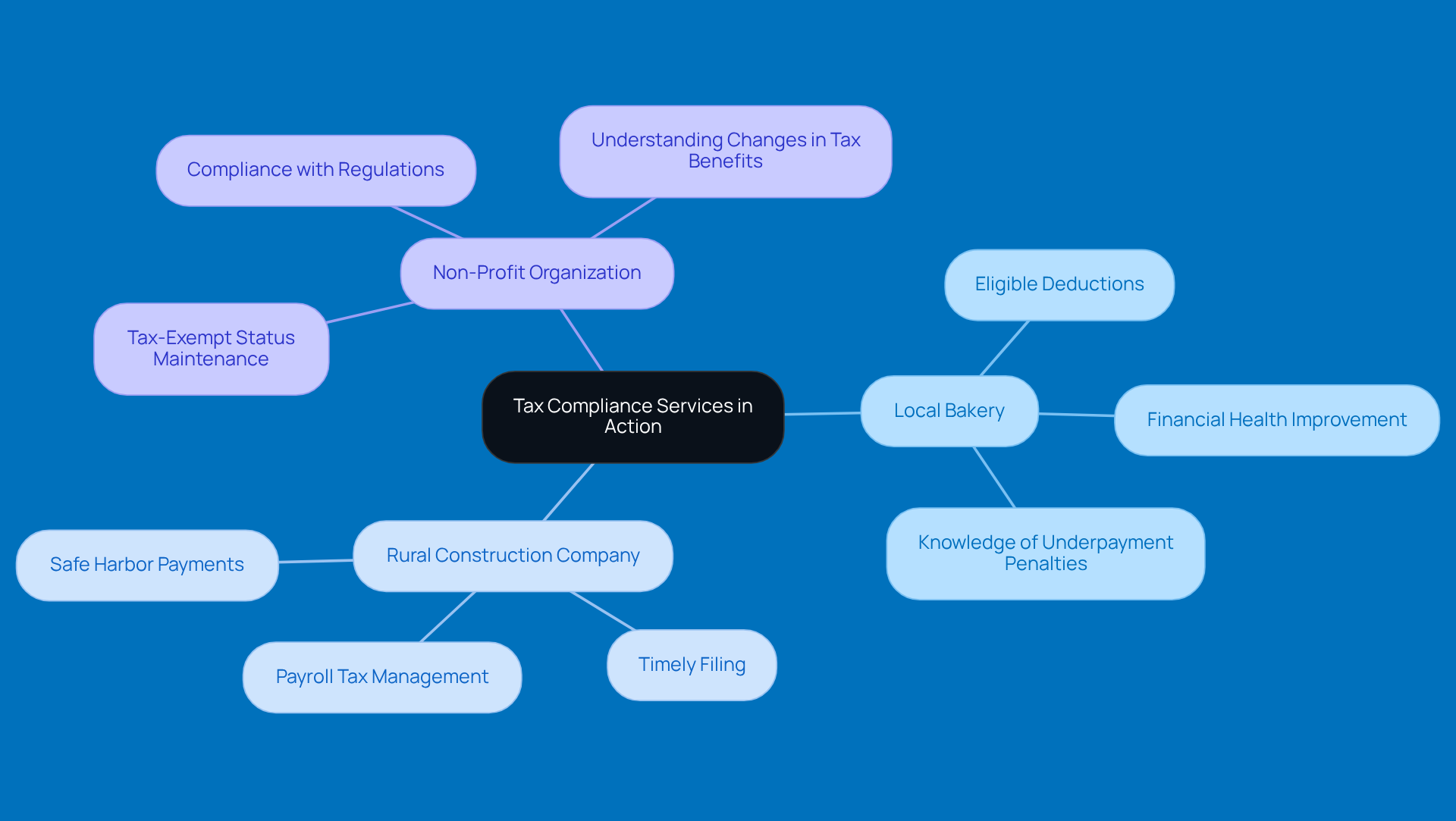 Each branch represents a different business type and how they benefited from tax compliance services. Follow the branches to see the specific advantages and insights each business gained.
