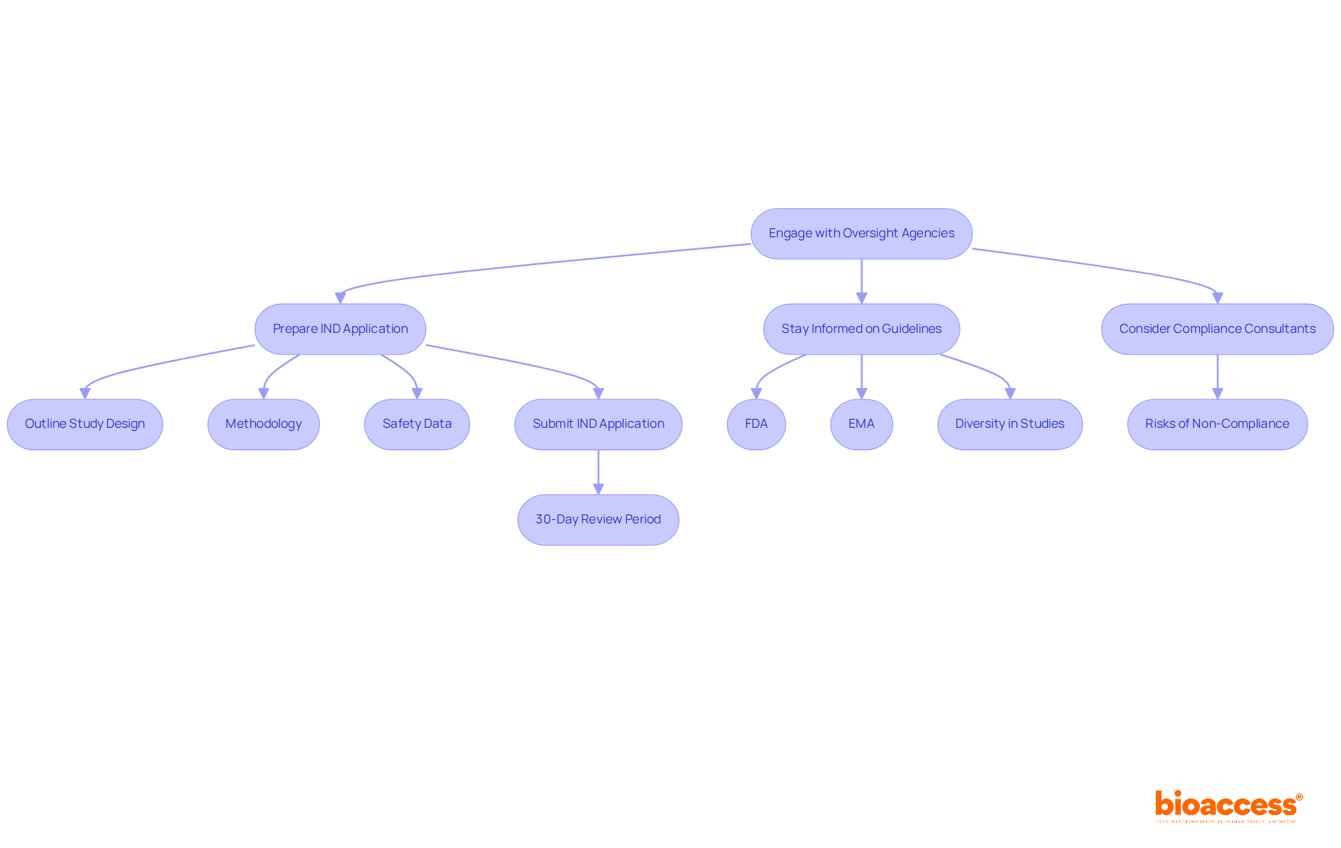 Follow the arrows to see the steps startups should take to navigate regulatory requirements. Each box represents a key action or consideration, helping you understand the process from engaging with agencies to ensuring compliance.