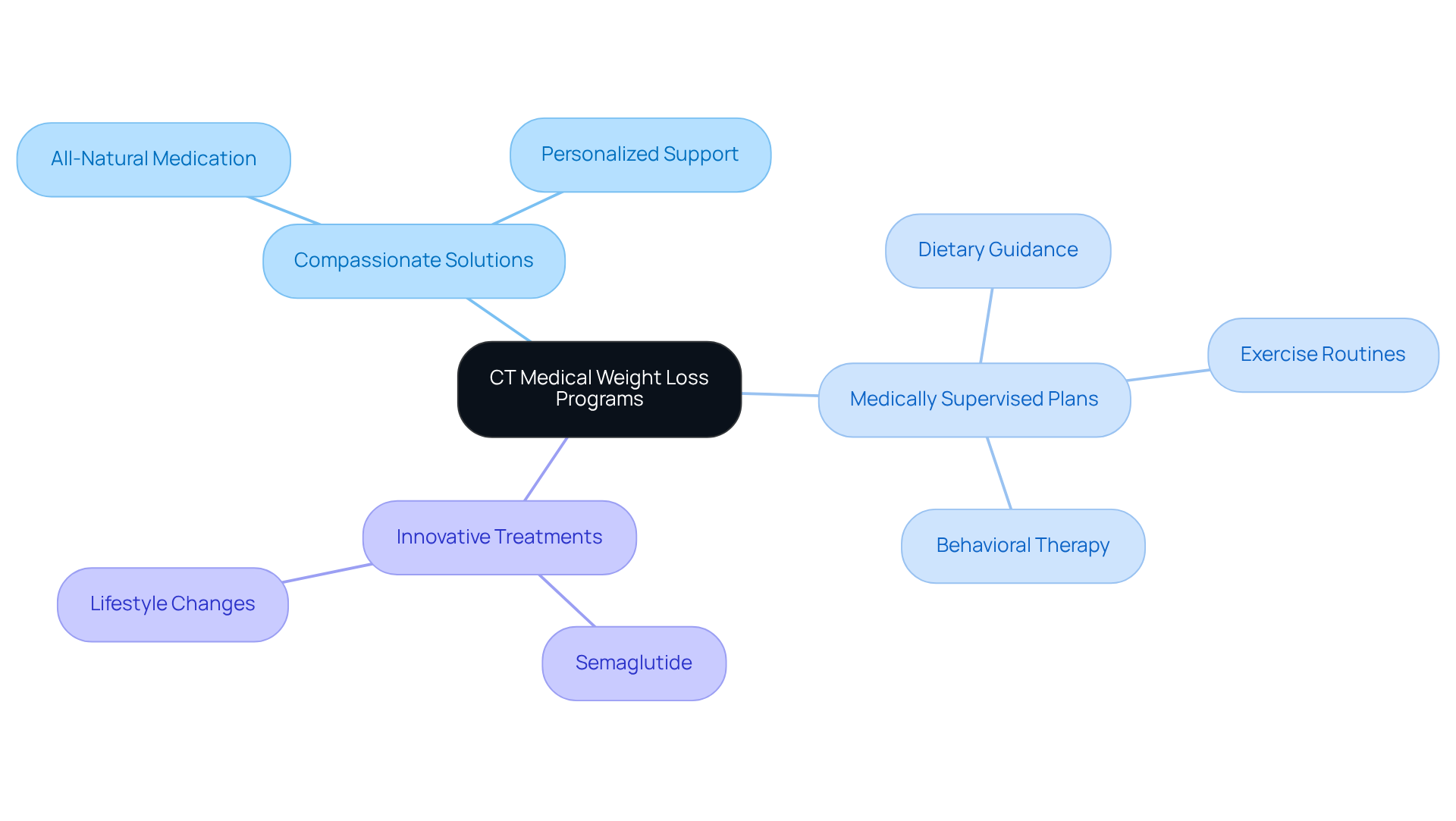 The center shows the main focus on weight loss programs, with branches leading to different aspects of the program. Each branch represents a key area of support, and the sub-branches detail specific components that help in achieving weight loss goals.