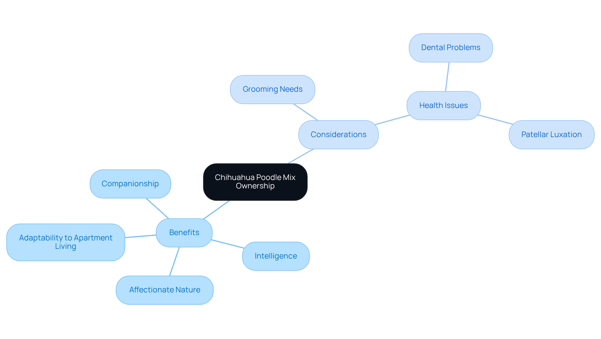 This mindmap shows the key benefits and considerations of owning a Chihuahua Poodle mix. Start at the center with the main idea, then follow the branches to see the positive traits and important responsibilities involved. This mindmap shows the key benefits and considerations of owning a Chihuahua Poodle mix. Start at the center with the main idea, then follow the branches to see the positive traits and important responsibilities involved.