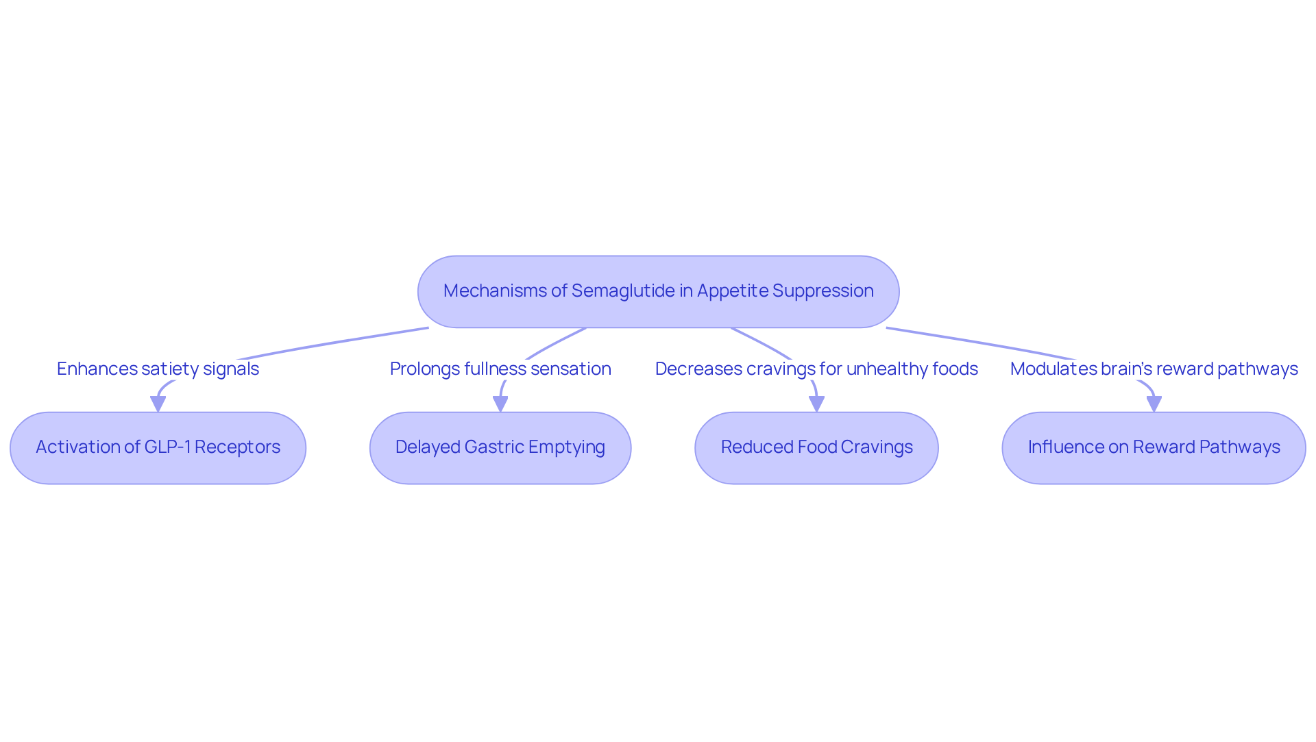 This flowchart shows how semaglutide works to reduce appetite. Each box represents a different mechanism, and the arrows illustrate how these mechanisms connect to the overall goal of appetite suppression. Follow the flow to understand how each process contributes to managing hunger and cravings. This flowchart shows how semaglutide works to reduce appetite. Each box represents a different mechanism, and the arrows illustrate how these mechanisms connect to the overall goal of appetite suppression. Follow the flow to understand how each process contributes to managing hunger and cravings.