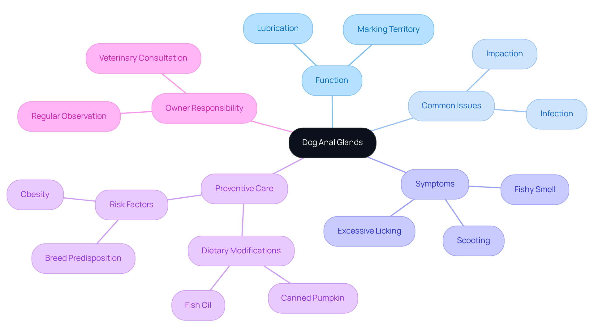 This mindmap helps you explore everything about your dog's anal glands. Start at the center to learn about their function, then follow the branches to see common problems, symptoms to watch for, and how you can help your furry friend stay healthy. This mindmap helps you explore everything about your dog's anal glands. Start at the center to learn about their function, then follow the branches to see common problems, symptoms to watch for, and how you can help your furry friend stay healthy.