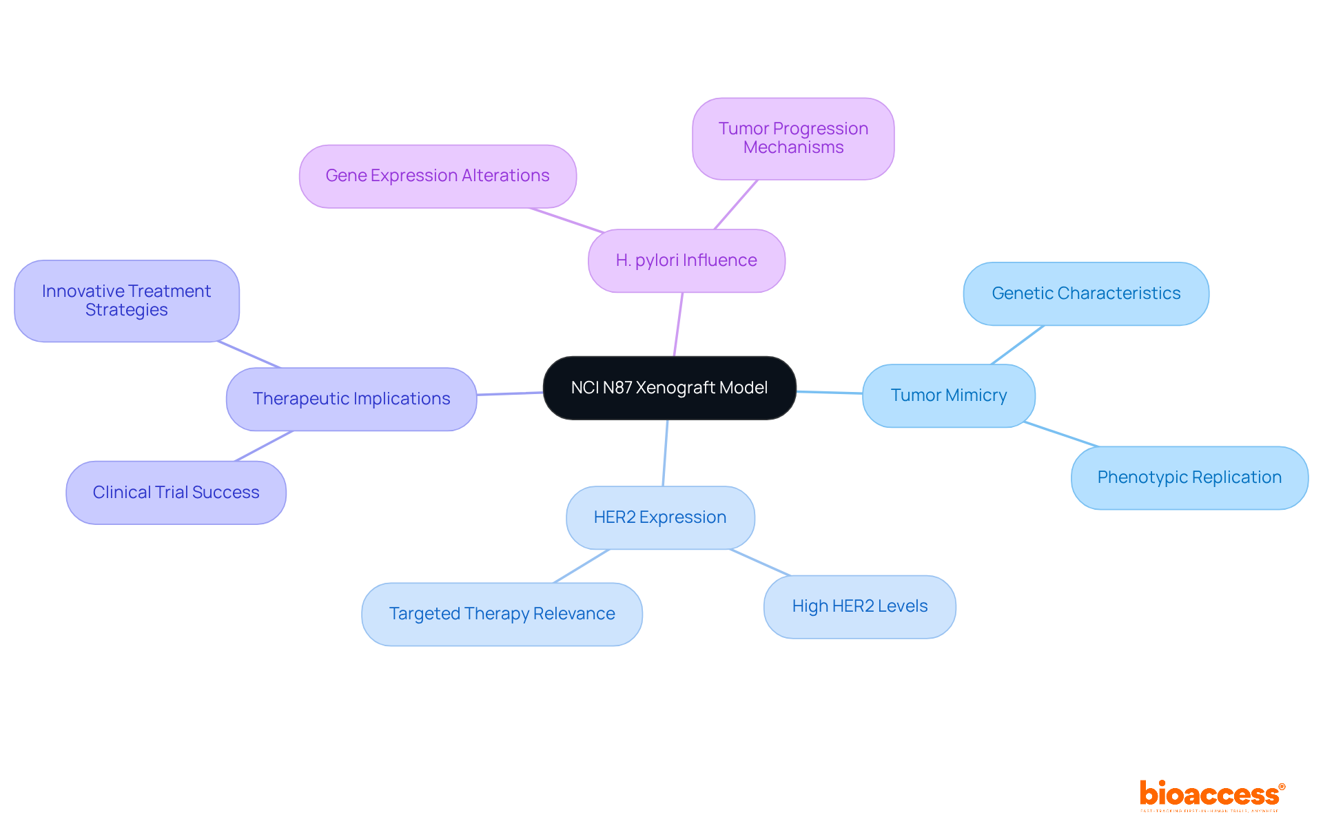 The central node represents the NCI N87 model, while the branches illustrate its key features and implications for research and therapy. Each color-coded branch helps you navigate through the different aspects of tumor mimicry and its relevance in targeted treatments.
