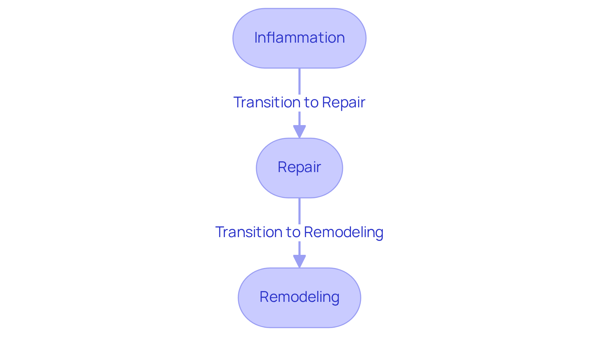Each box represents a stage in the healing journey. Follow the arrows to see how the process unfolds from inflammation to repair and finally to remodeling, with each stage playing a crucial role in recovery.