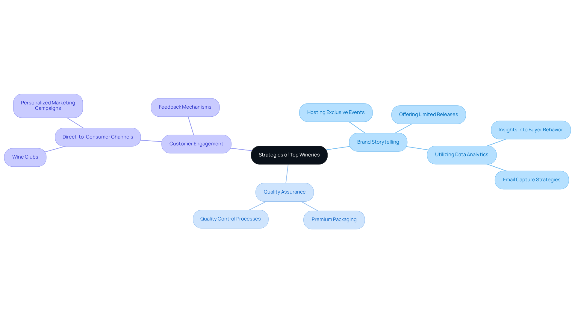 The center represents the main focus on winery strategies, with branches showing how each strategy is supported by specific practices. The colors help differentiate between categories, making it easier to navigate through the information.