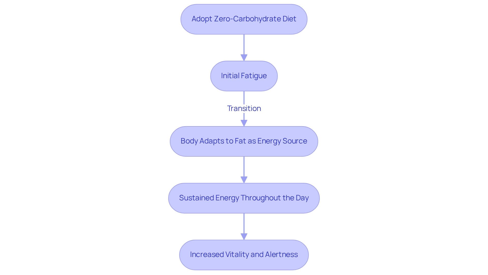 Each box represents a stage in the journey of adapting to a zero-carbohydrate diet. Follow the arrows to see how energy levels evolve from fatigue to increased vitality.