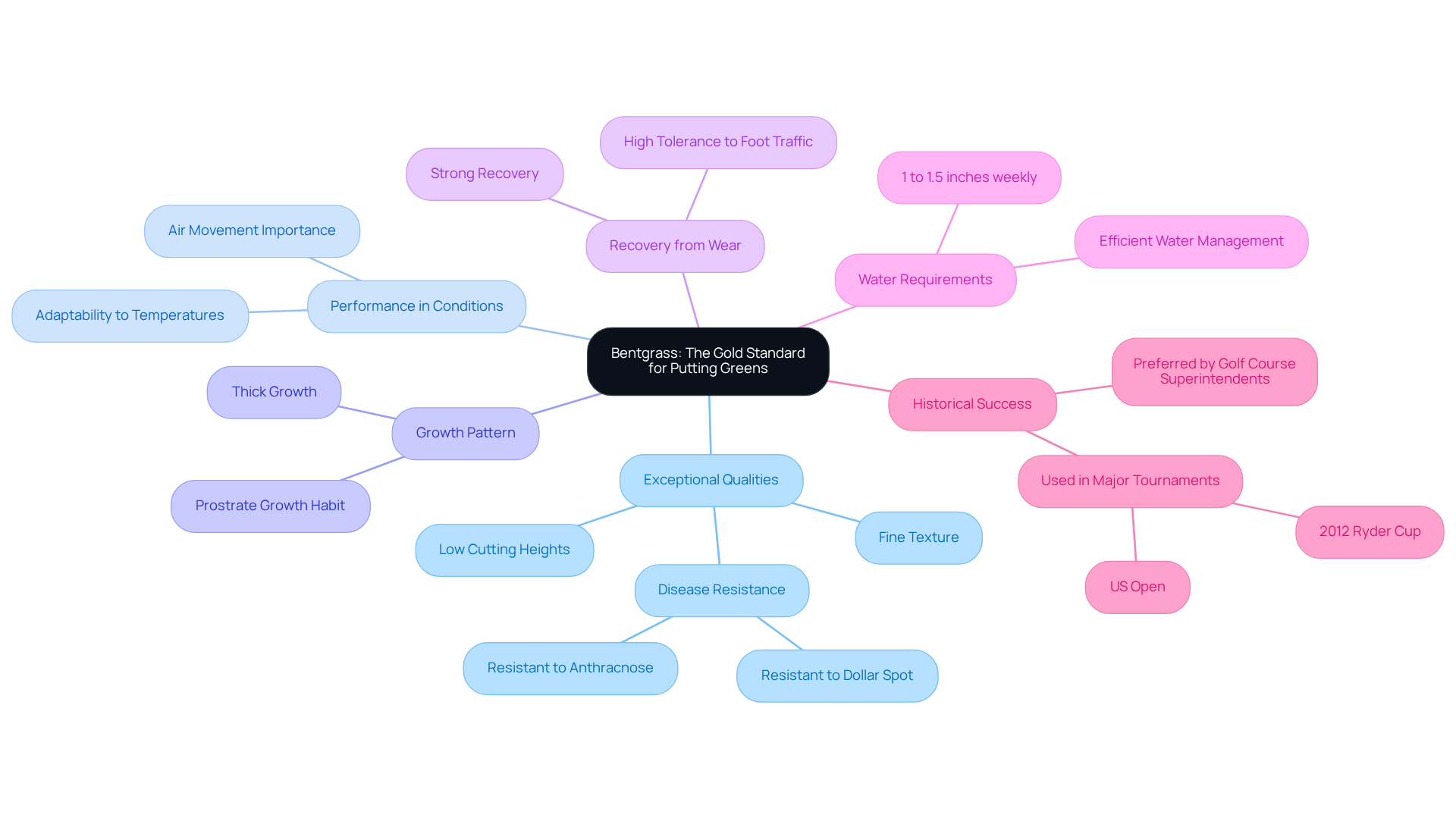 This mindmap starts with Bentgrass at the center, branching out to show its key qualities and benefits. Each branch represents a different aspect of Bentgrass, helping you see why it's favored for putting greens. Follow the branches to explore how each quality contributes to its reputation as the best choice for golf courses. This mindmap starts with Bentgrass at the center, branching out to show its key qualities and benefits. Each branch represents a different aspect of Bentgrass, helping you see why it's favored for putting greens. Follow the branches to explore how each quality contributes to its reputation as the best choice for golf courses.
