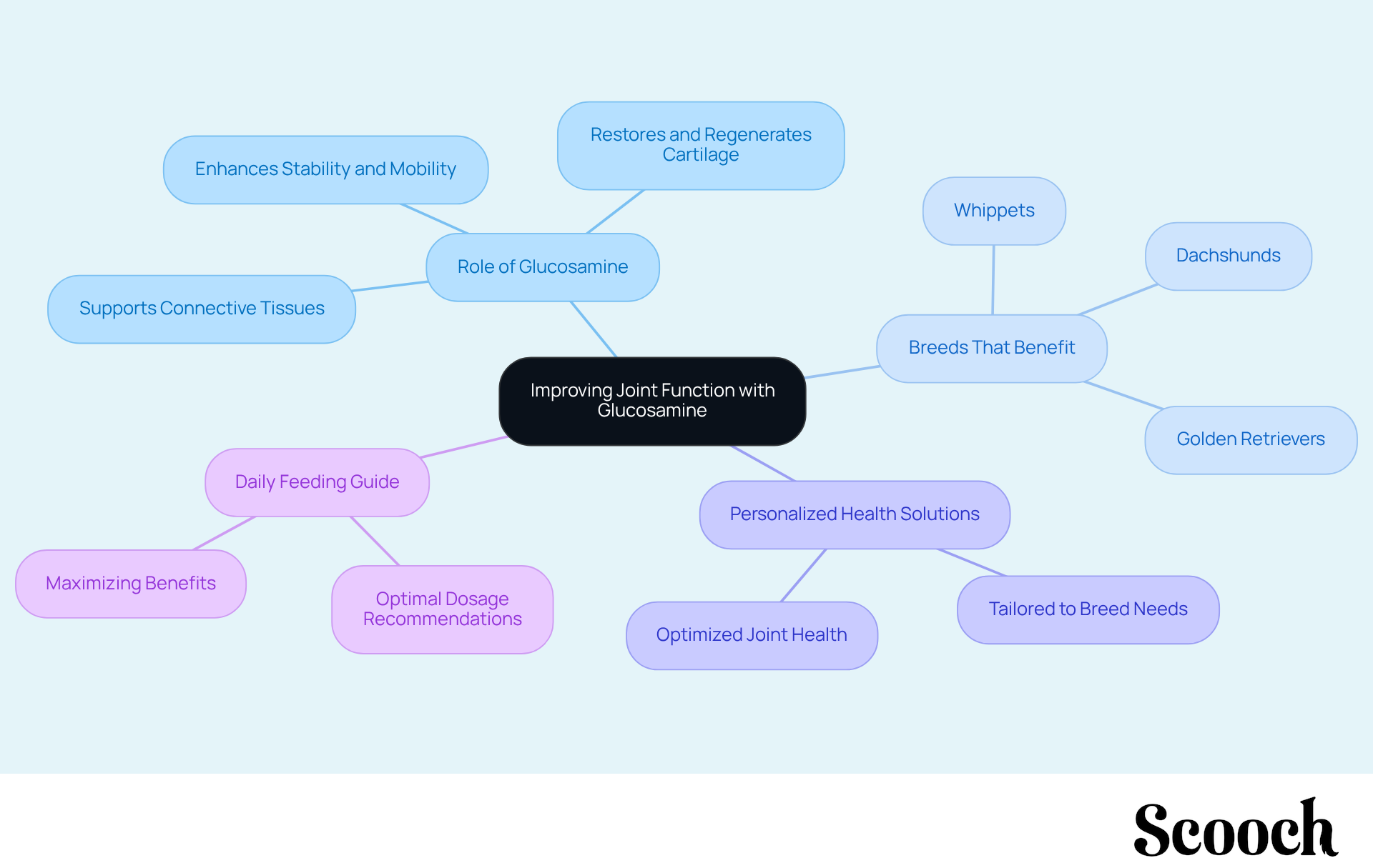 The center shows the main topic—improving joint function. Follow the branches to see how glucosamine helps different breeds, personalized solutions, and feeding guidelines.