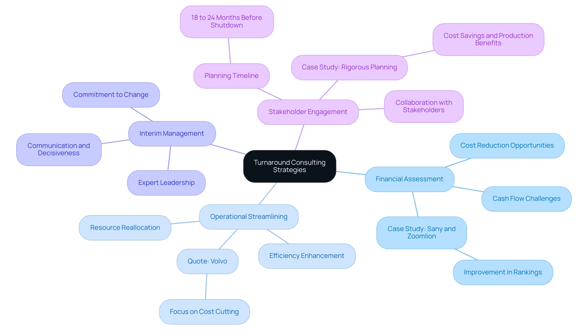 The central node represents the overall consulting approach, with branches showing key strategies and their respective sub-points.