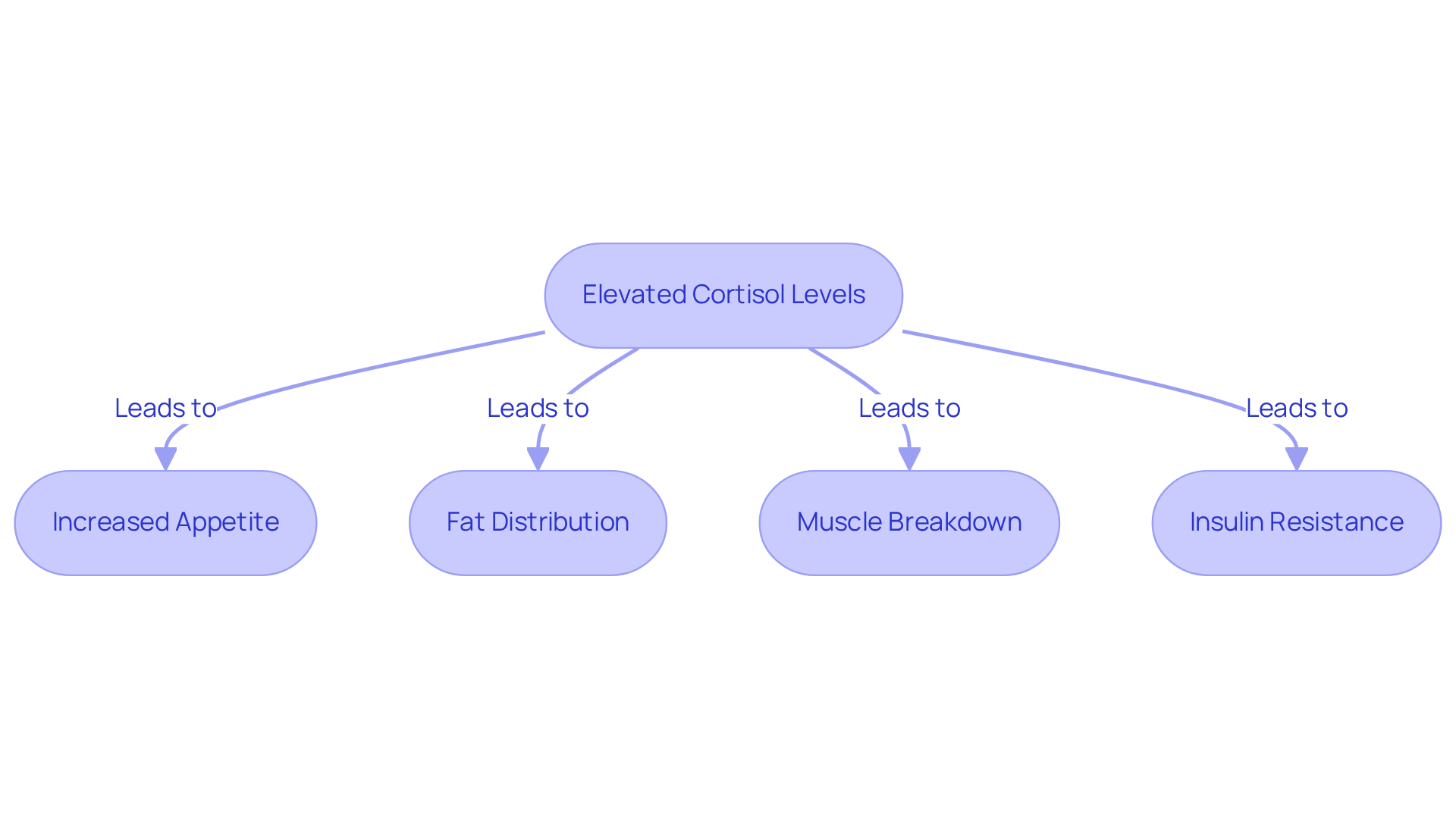 This flowchart shows how high cortisol levels can lead to various issues that contribute to belly fat. Start at the top with elevated cortisol, then follow the arrows down to see how each factor, like increased appetite and muscle breakdown, plays a role in weight management.