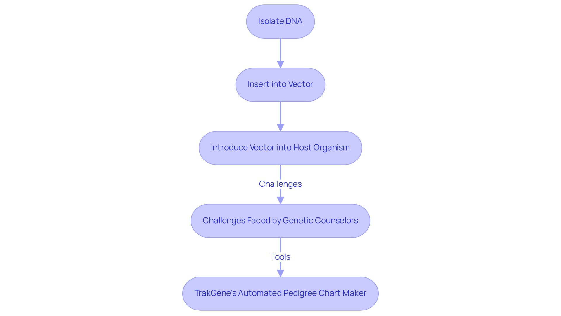 Follow the arrows to see how genomic DNA cloning works step by step. Each box shows a key action, and the side notes provide extra information about challenges and tools that can help genetic counselors.
