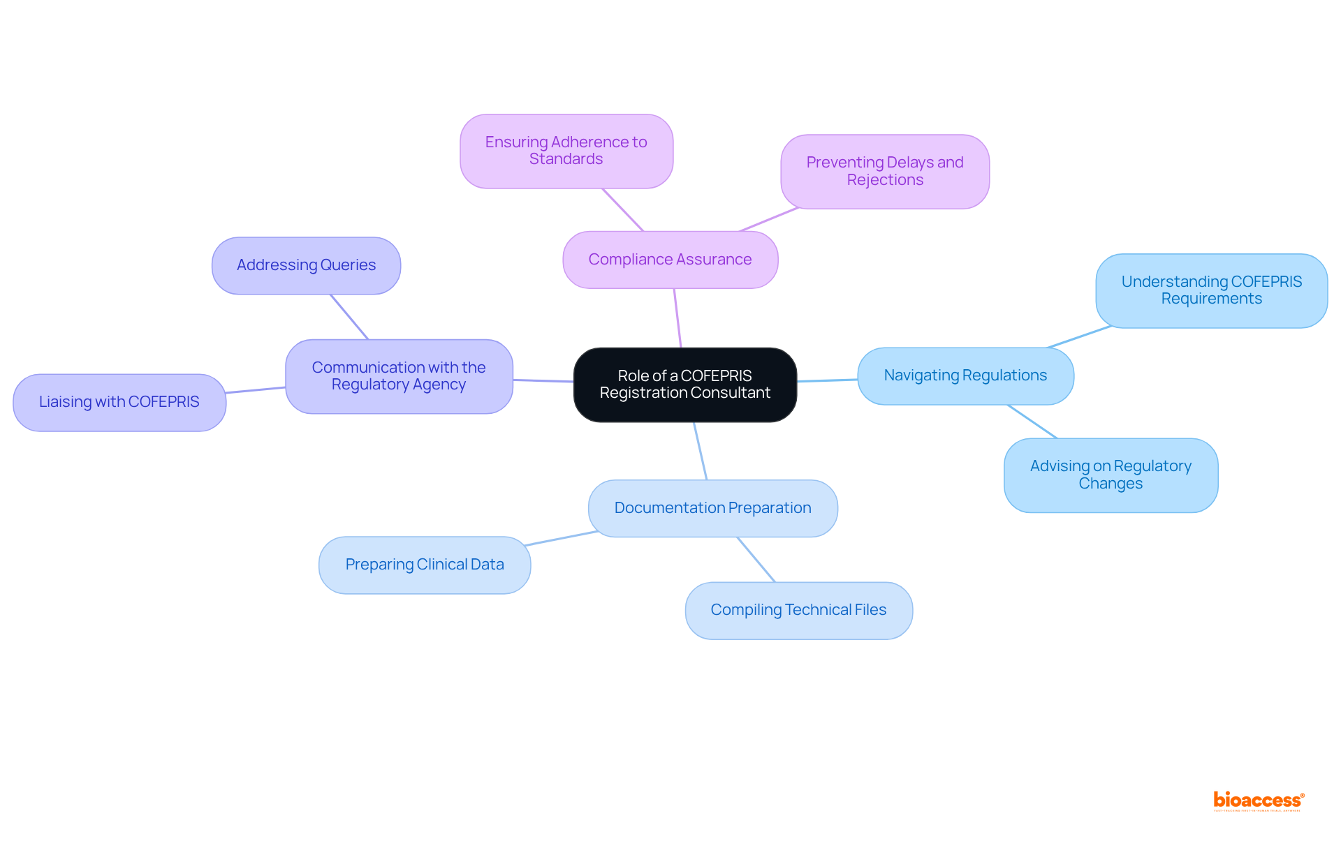 The central node represents the overall role of the consultant, while each branch shows specific responsibilities. This layout helps you see how each responsibility contributes to the consultant's overall function.