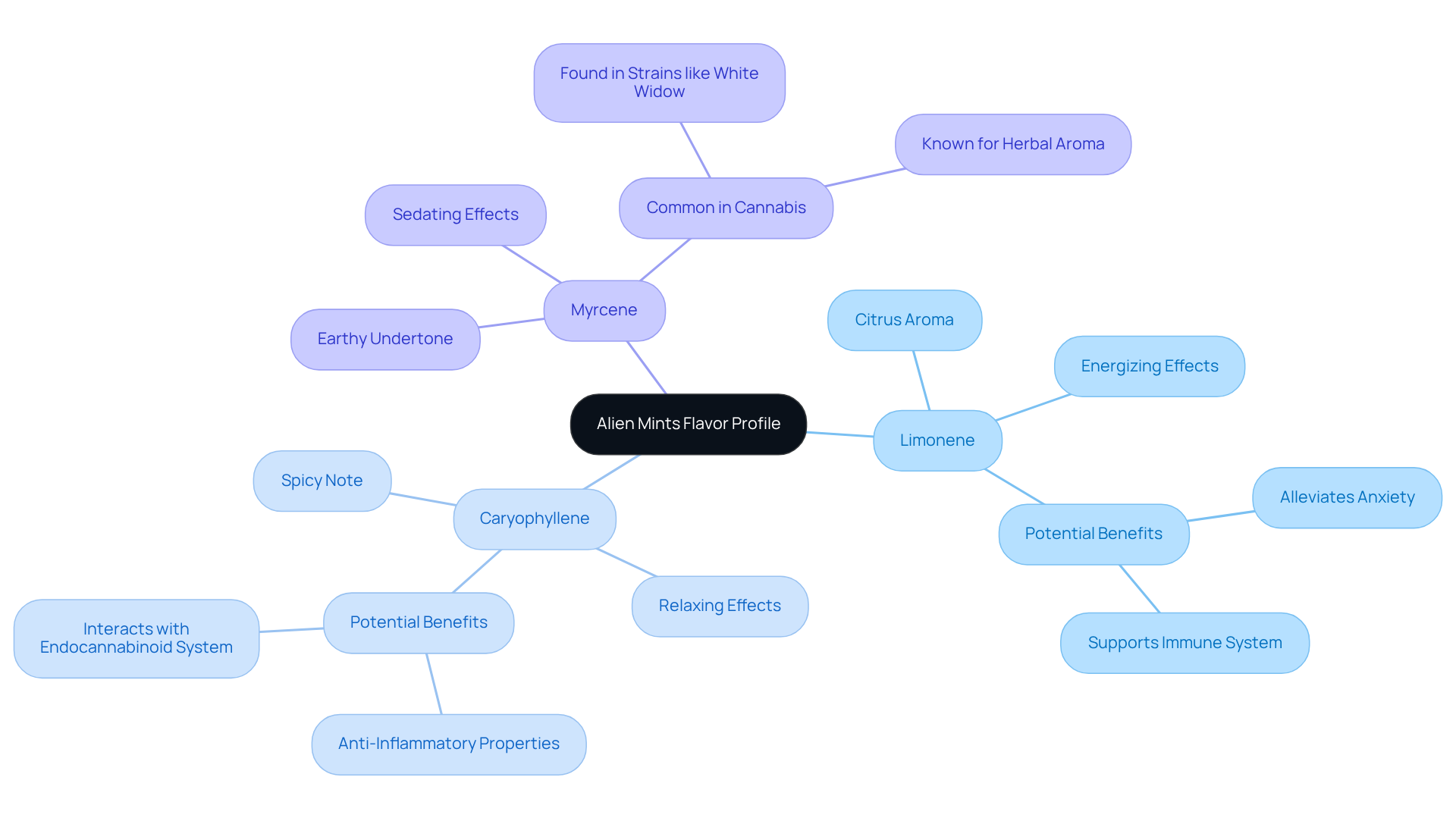 The central node represents the overall flavor profile, with branches for each terpene illustrating their distinct contributions. Each color-coded branch helps you understand how these elements work together to enhance the cannabis experience. The central node represents the overall flavor profile, with branches for each terpene illustrating their distinct contributions. Each color-coded branch helps you understand how these elements work together to enhance the cannabis experience.