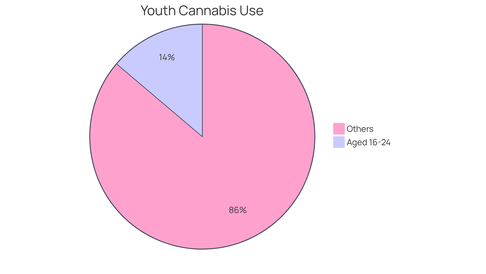 The green slice shows the percentage of young people who have used marijuana in the past year. The gray area represents everyone else. This helps illustrate the growing interest in products like the Helix one-hitter among younger consumers. The green slice shows the percentage of young people who have used marijuana in the past year. The gray area represents everyone else. This helps illustrate the growing interest in products like the Helix one-hitter among younger consumers.