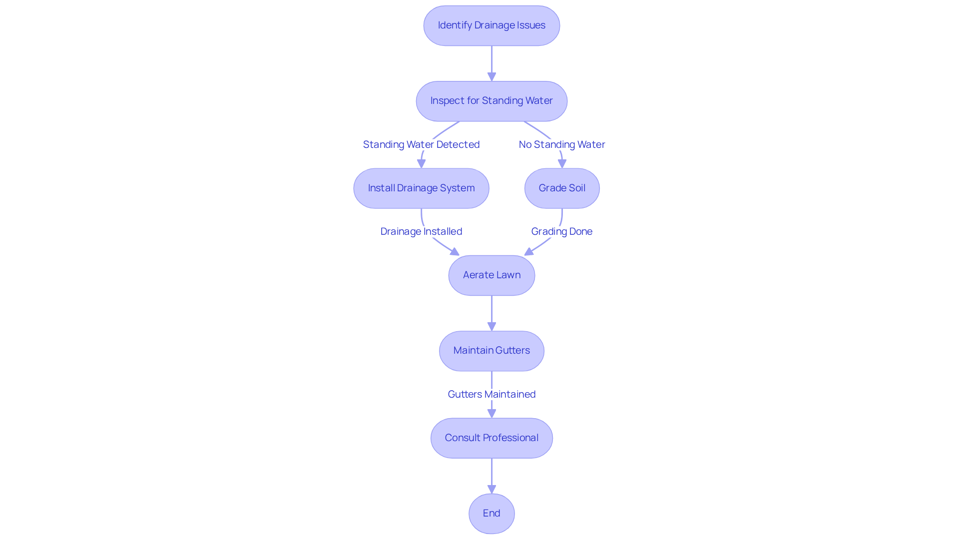Follow the arrows to see the steps you can take to improve drainage in your yard. Each box represents an action you can take to address standing water and enhance your lawn's health.
