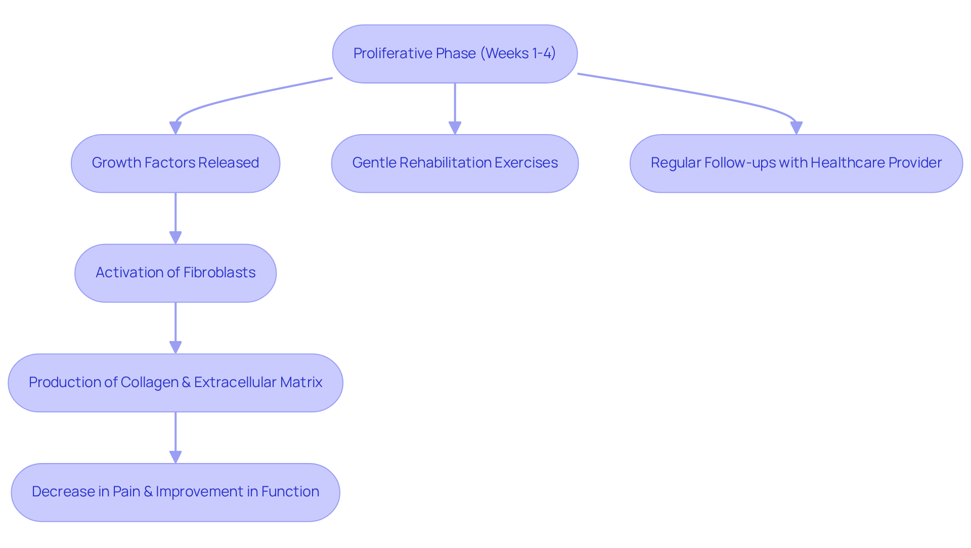 Follow the arrows to see how each step in the healing process connects. Starting from the proliferative phase, each box shows what happens next, leading to improved recovery outcomes.