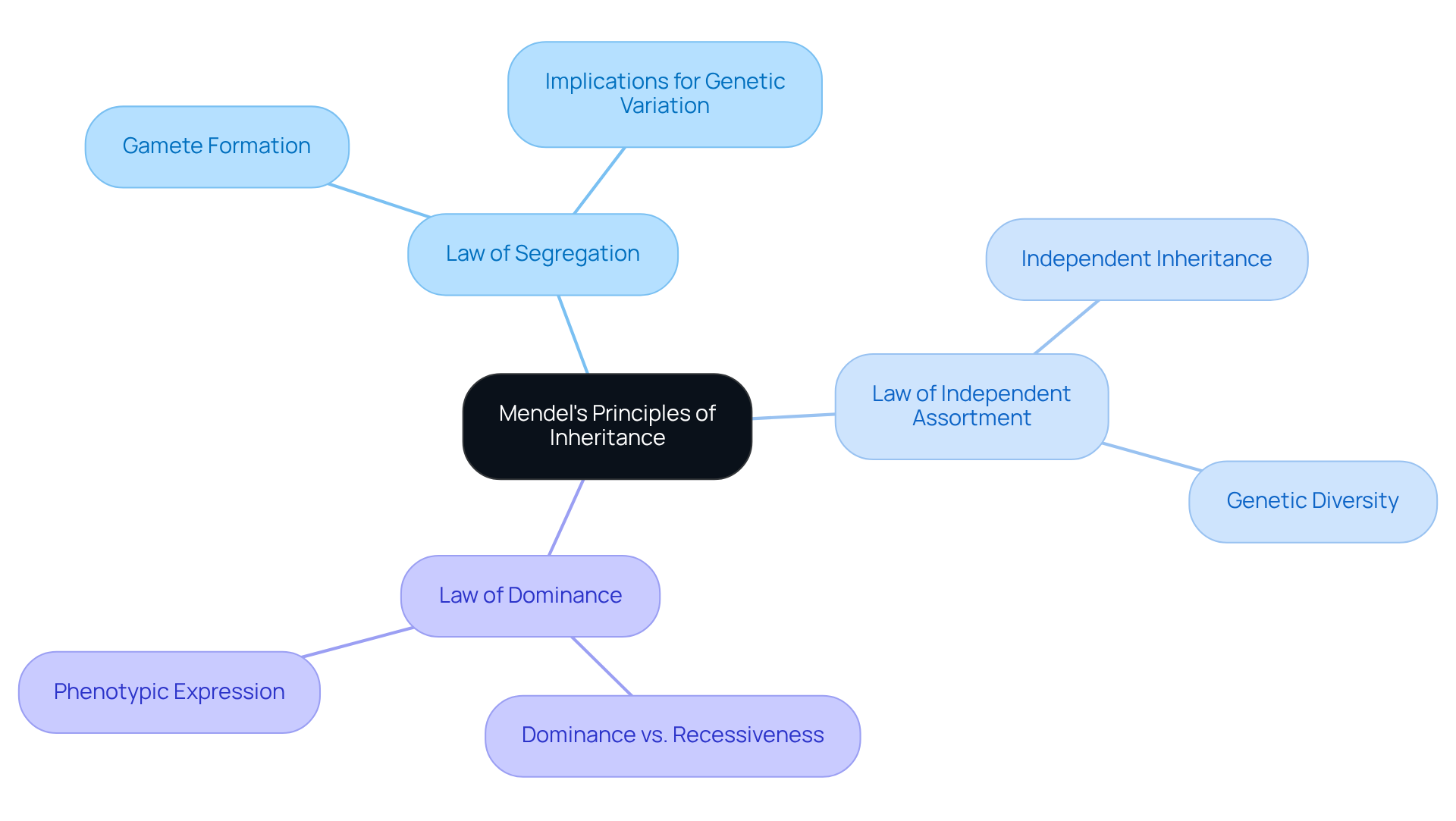 The central node represents Mendel's work, while the branches show the key principles of inheritance. Each sub-branch provides additional context and implications, helping you understand how these principles connect to modern genetics.