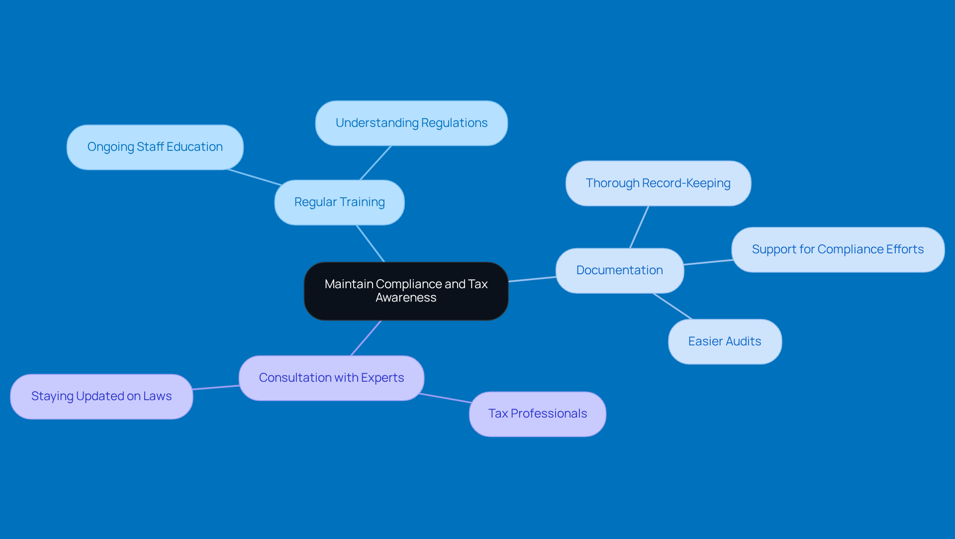 The central node represents the main focus on compliance and tax awareness, while the branches show the key practices that support this goal. Each practice is important for helping wineries avoid penalties and operate smoothly. The central node represents the main focus on compliance and tax awareness, while the branches show the key practices that support this goal. Each practice is important for helping wineries avoid penalties and operate smoothly.