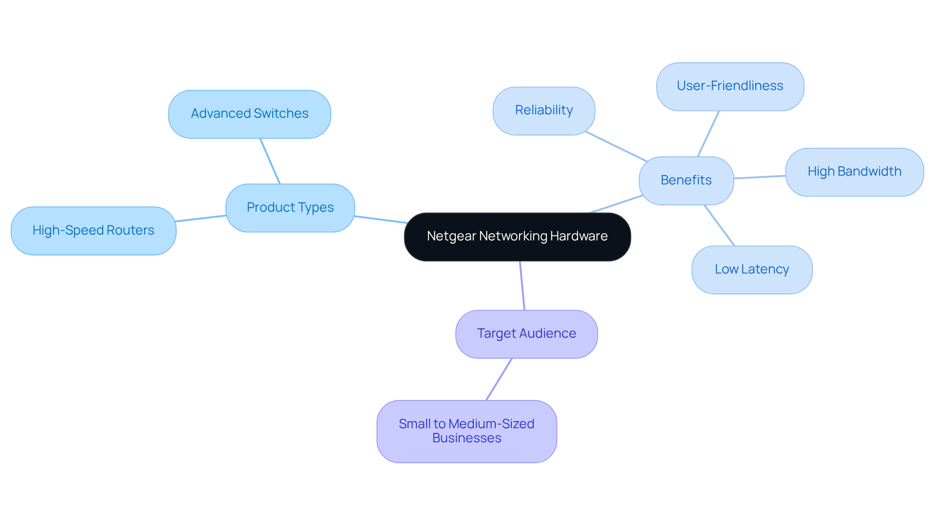 The center shows Netgear's main focus, and the branches illustrate the different types of products, their benefits, and who they are designed for. Follow the branches to explore how each aspect contributes to enhancing business performance.