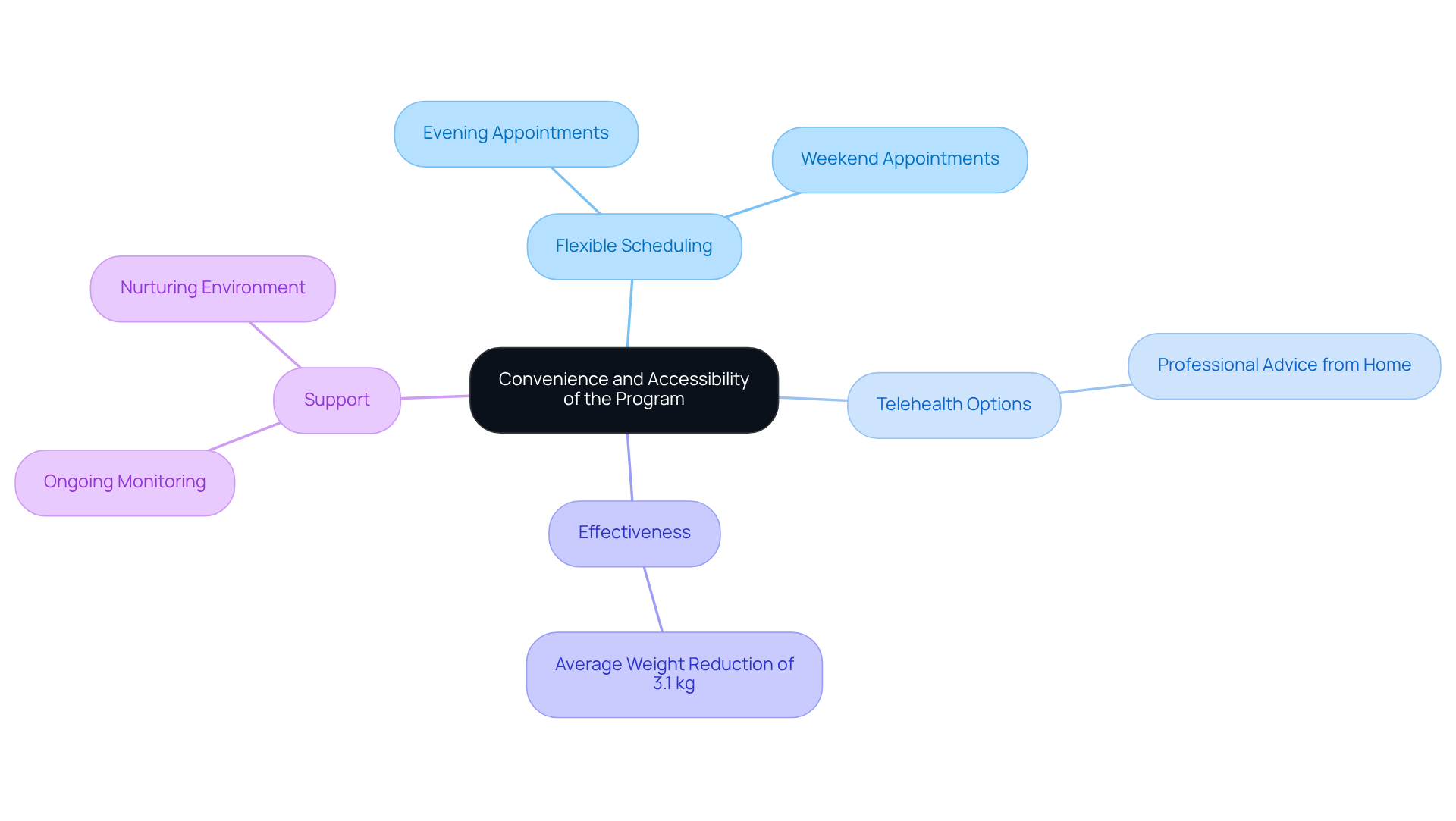 The center shows the main theme of convenience and accessibility, while the branches illustrate specific features that make the program easier to engage with. Each color-coded branch highlights a different aspect of the program.