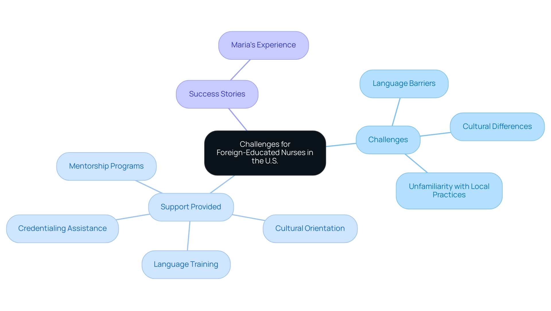 Each branch represents a category of information: Challenges, Support Provided, and Success Stories, with sub-branches detailing specific aspects related to each main category.