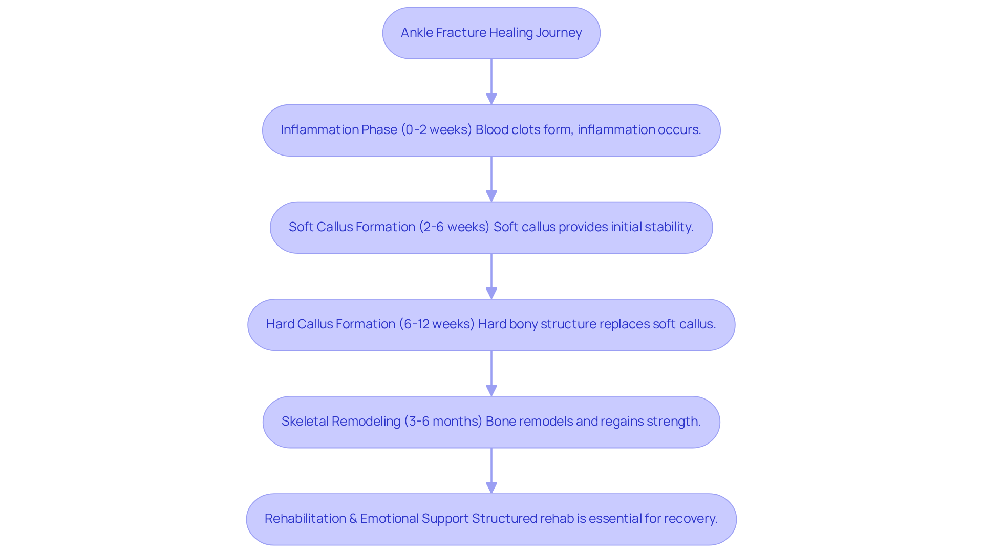 This flowchart shows the stages of healing after an ankle fracture. Each box represents a phase in the recovery process, with arrows indicating the order. The side note highlights the importance of rehabilitation and emotional support during healing.