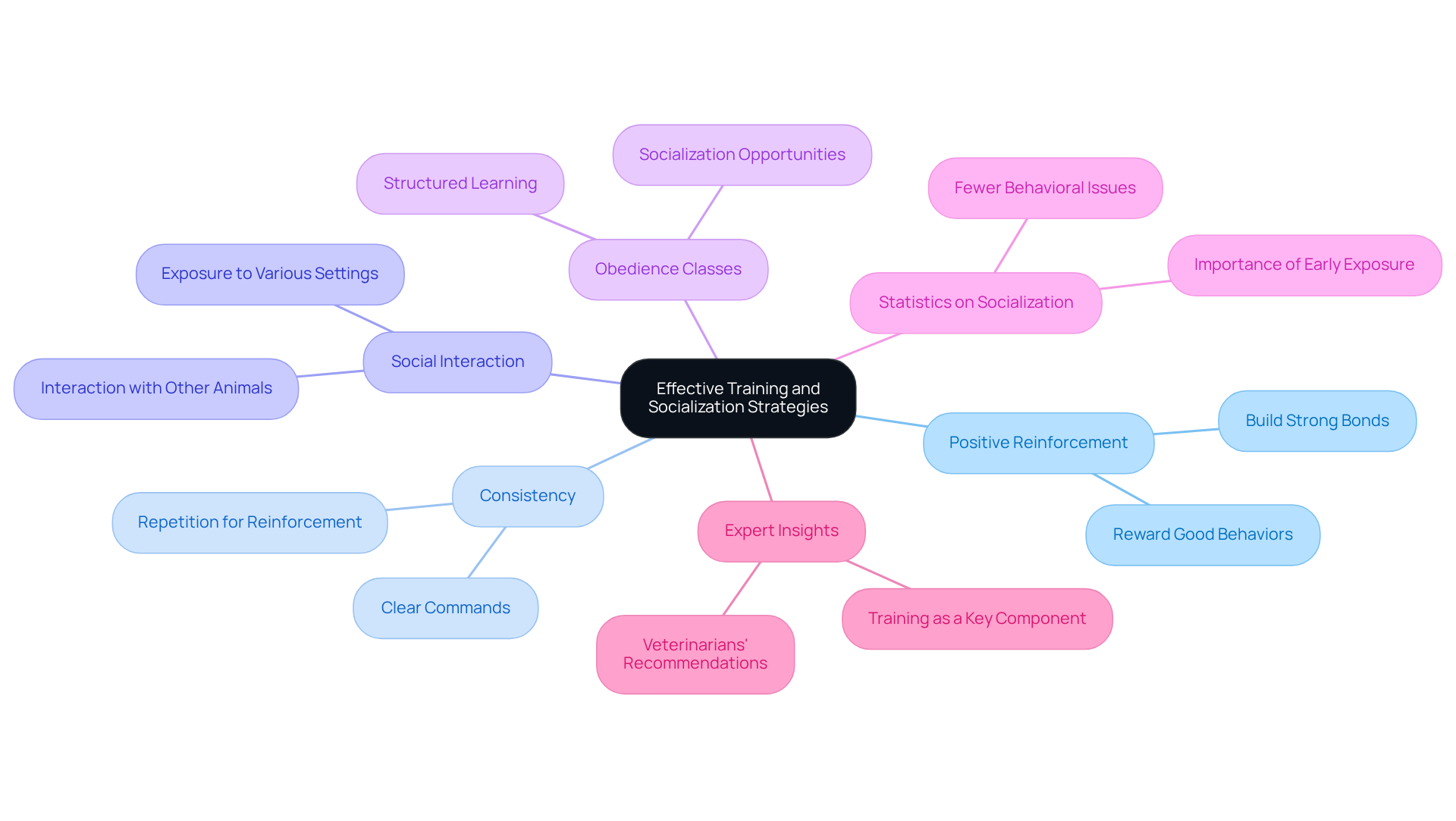 The center shows the main theme, while each branch represents a different aspect of training and socialization — follow the branches to explore all the helpful tips and insights!