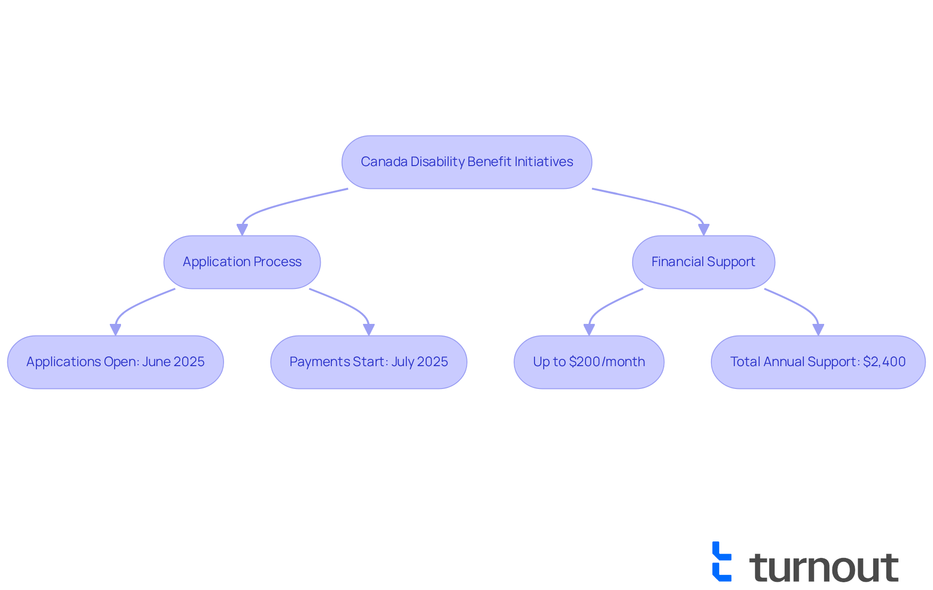 Follow the flow from the top to see how the application process works and what financial support you can receive. Each box represents a key step or detail in the initiative.