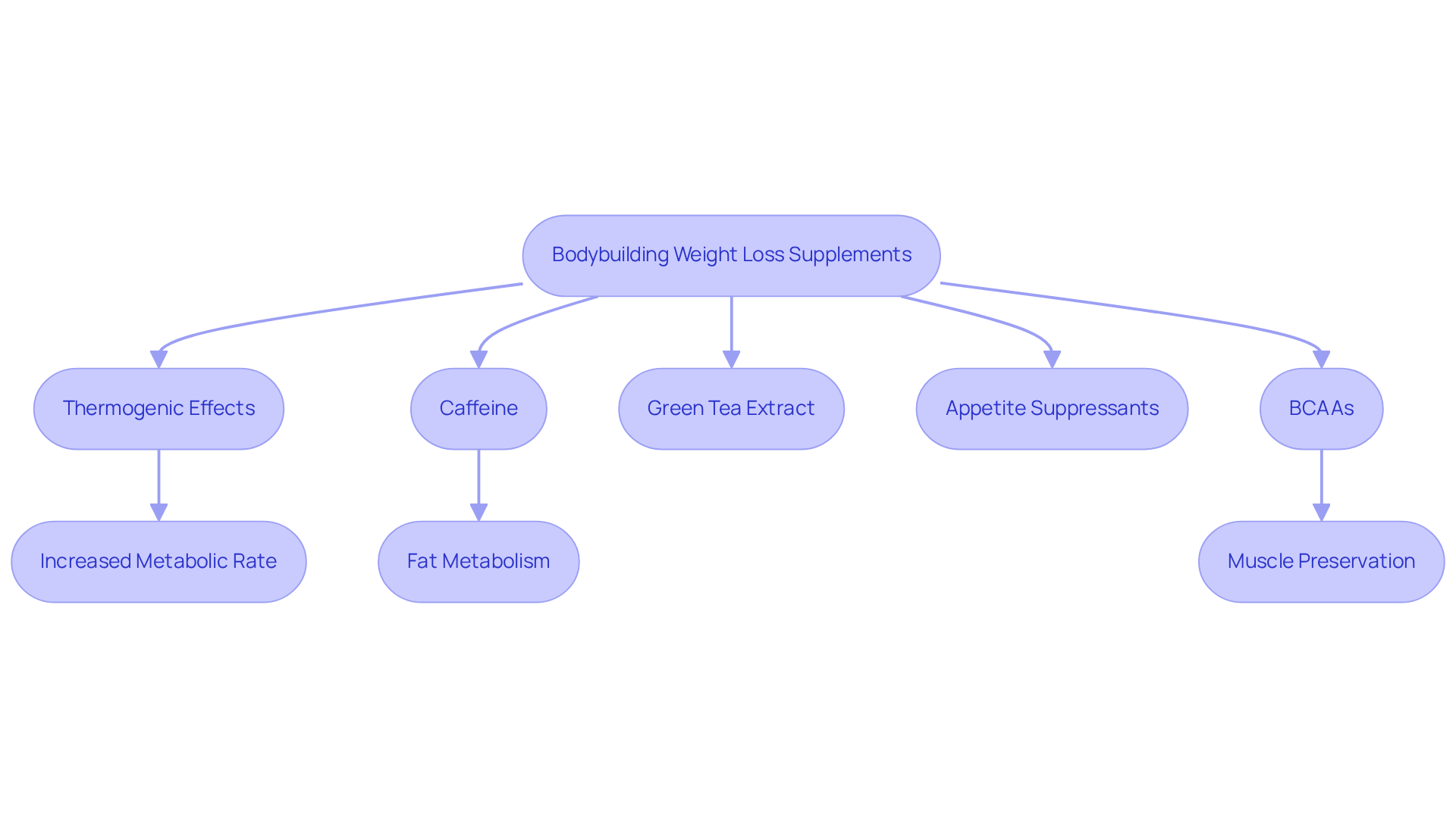 This flowchart shows how different ingredients in weight loss supplements work together. Each box represents a key component, and the arrows indicate how they contribute to fat loss and muscle preservation.