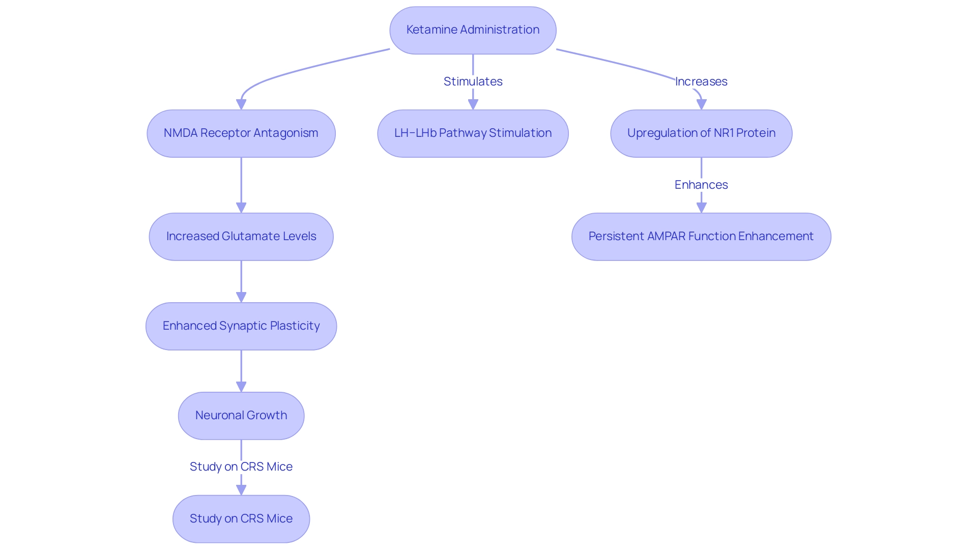 Understanding How Ketamine Helps with PTSD: An In-Depth Tutorial