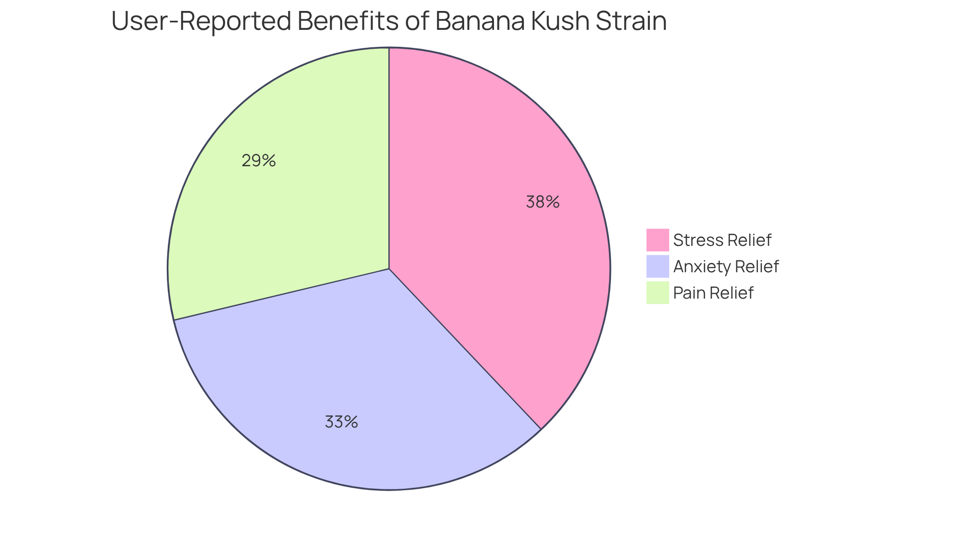This chart shows how users benefit from the Banana Kush strain. Each slice represents a different type of relief: the larger the slice, the more users reported that benefit! This chart shows how users benefit from the Banana Kush strain. Each slice represents a different type of relief: the larger the slice, the more users reported that benefit!