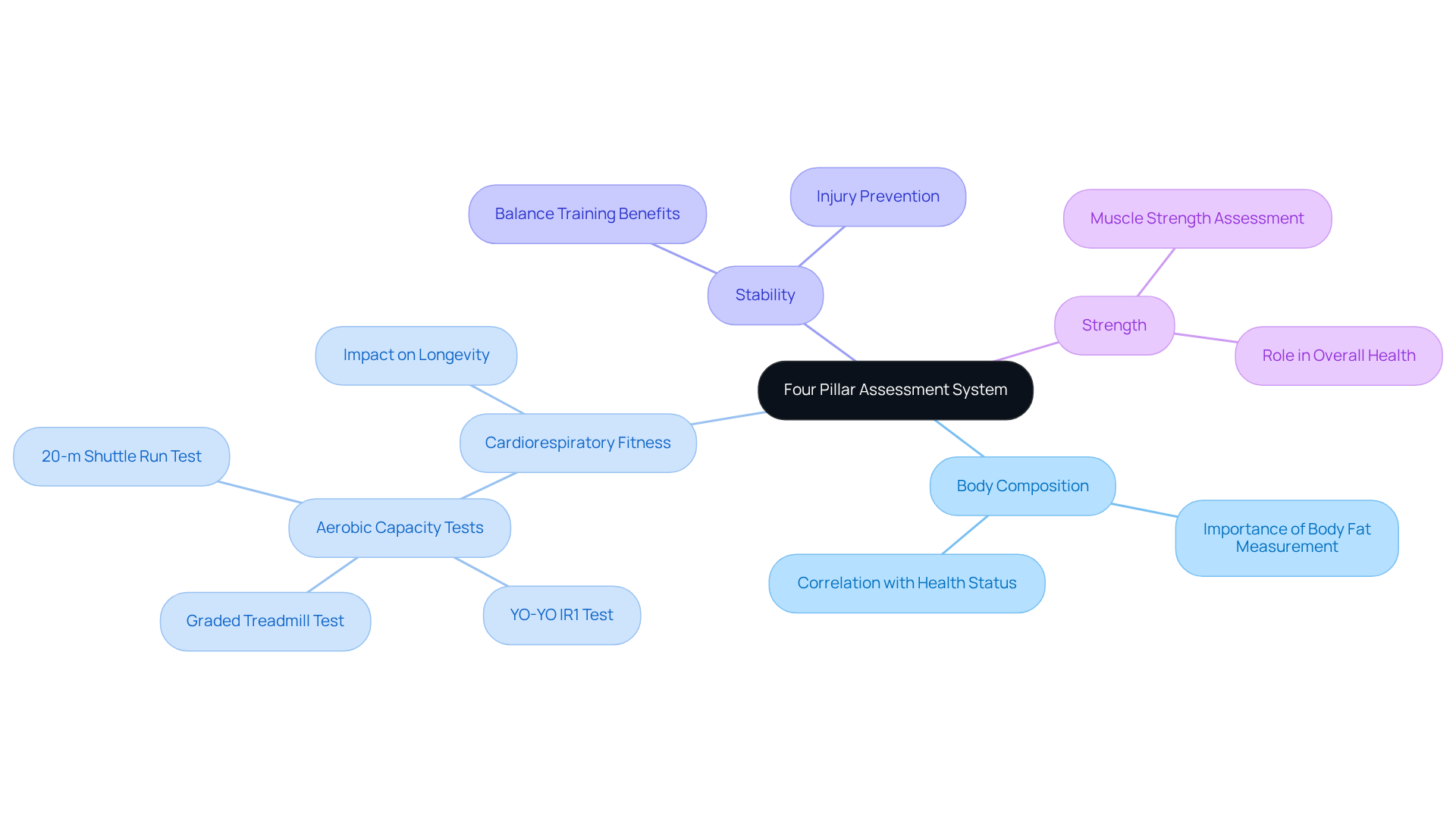 The central node represents the assessment system, while the branches show the four key areas of focus. Each area is essential for overall health, and the sub-branches can provide additional insights into their significance.