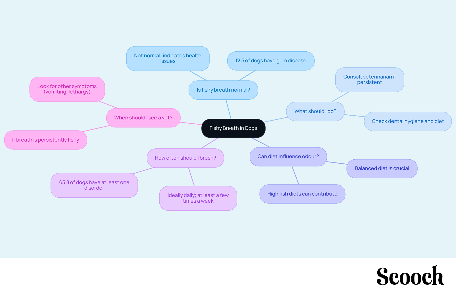 Start at the center with the main topic, then follow the branches to explore each question and its answer. Each color represents a different question, making it easy to navigate through the information.