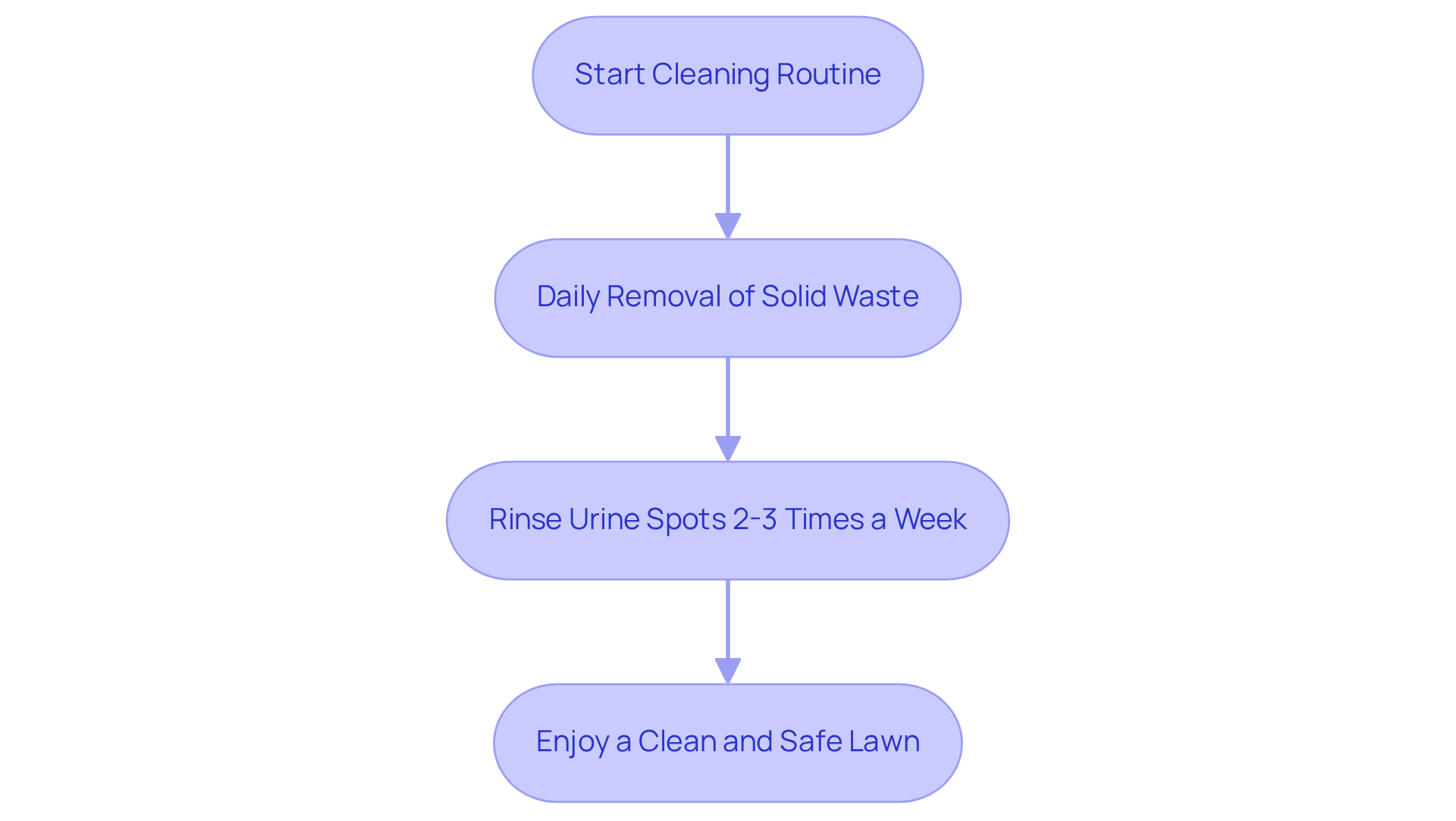 Follow the arrows to see the steps for keeping your artificial lawn clean and safe for your pets. Start with daily waste removal, then rinse the spots regularly to maintain a fresh environment.