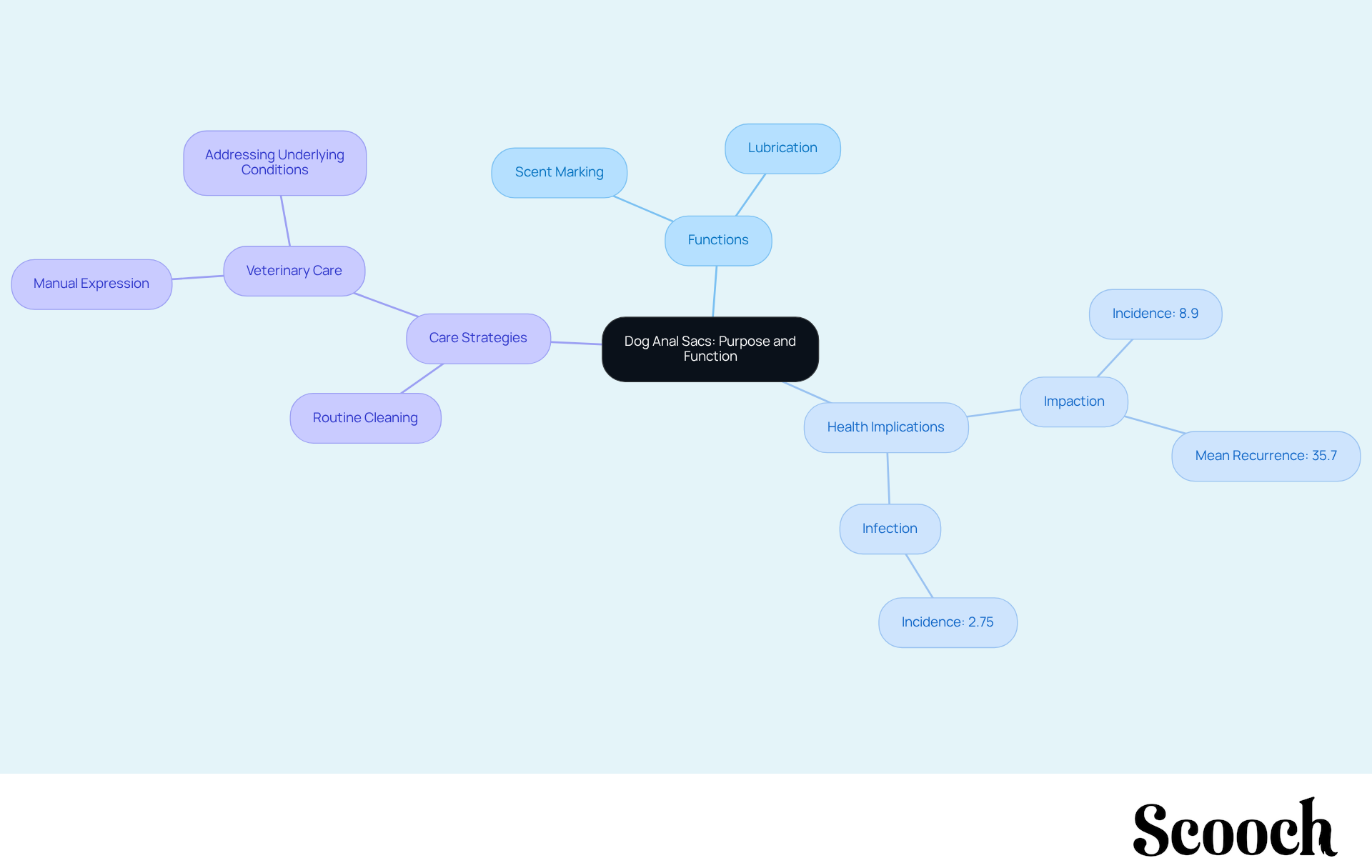 Master Dog Anal Sac Cleaning: Steps for Confident Care