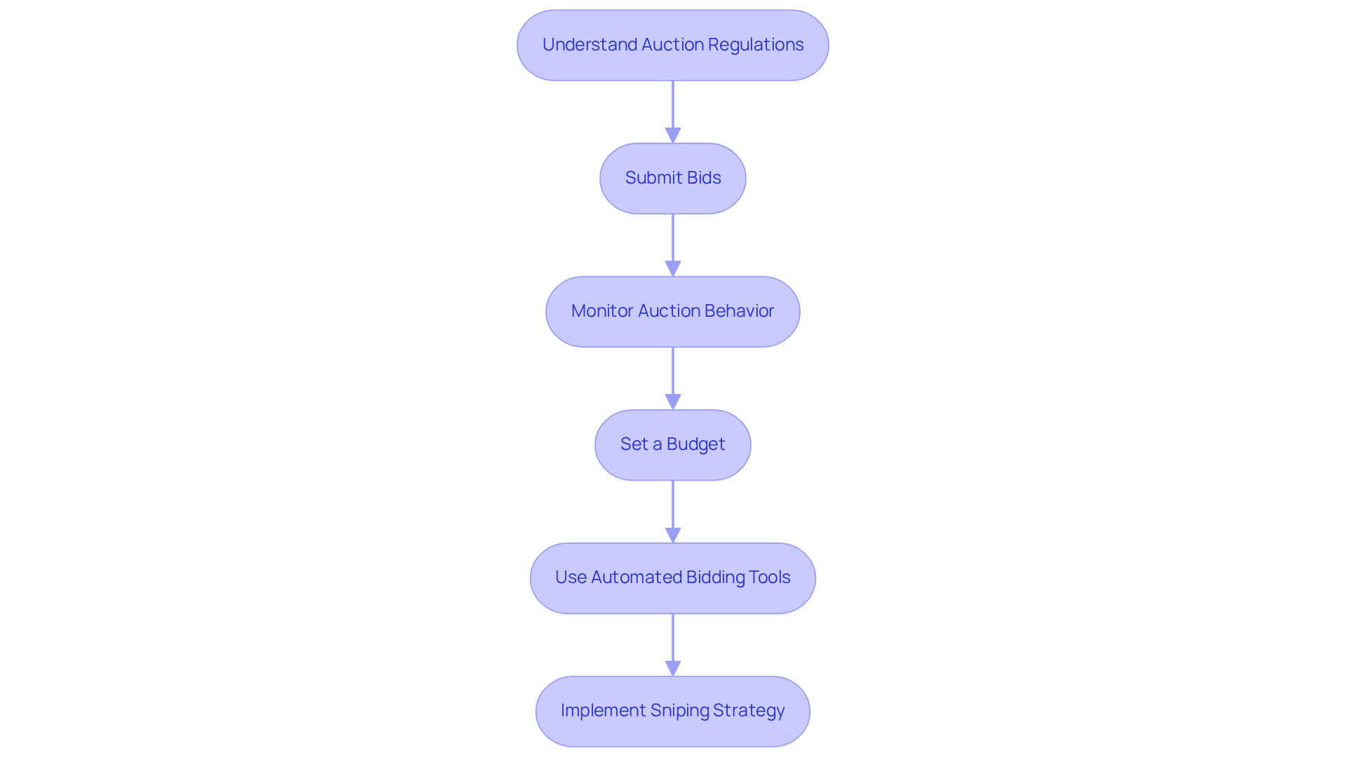 Each box represents a step in the auction process. Follow the arrows to see how to navigate from understanding the rules to successfully placing bids and winning items. Each box represents a step in the auction process. Follow the arrows to see how to navigate from understanding the rules to successfully placing bids and winning items.