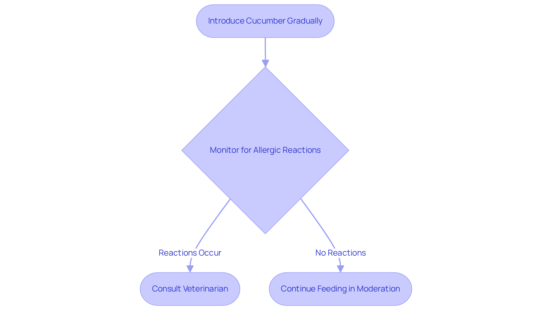 Follow the steps from introducing cucumbers to monitoring for any reactions — if your dog reacts negatively, always check with a vet. If all goes well, continue to feed cucumbers in moderation! Follow the steps from introducing cucumbers to monitoring for any reactions — if your dog reacts negatively, always check with a vet. If all goes well, continue to feed cucumbers in moderation!