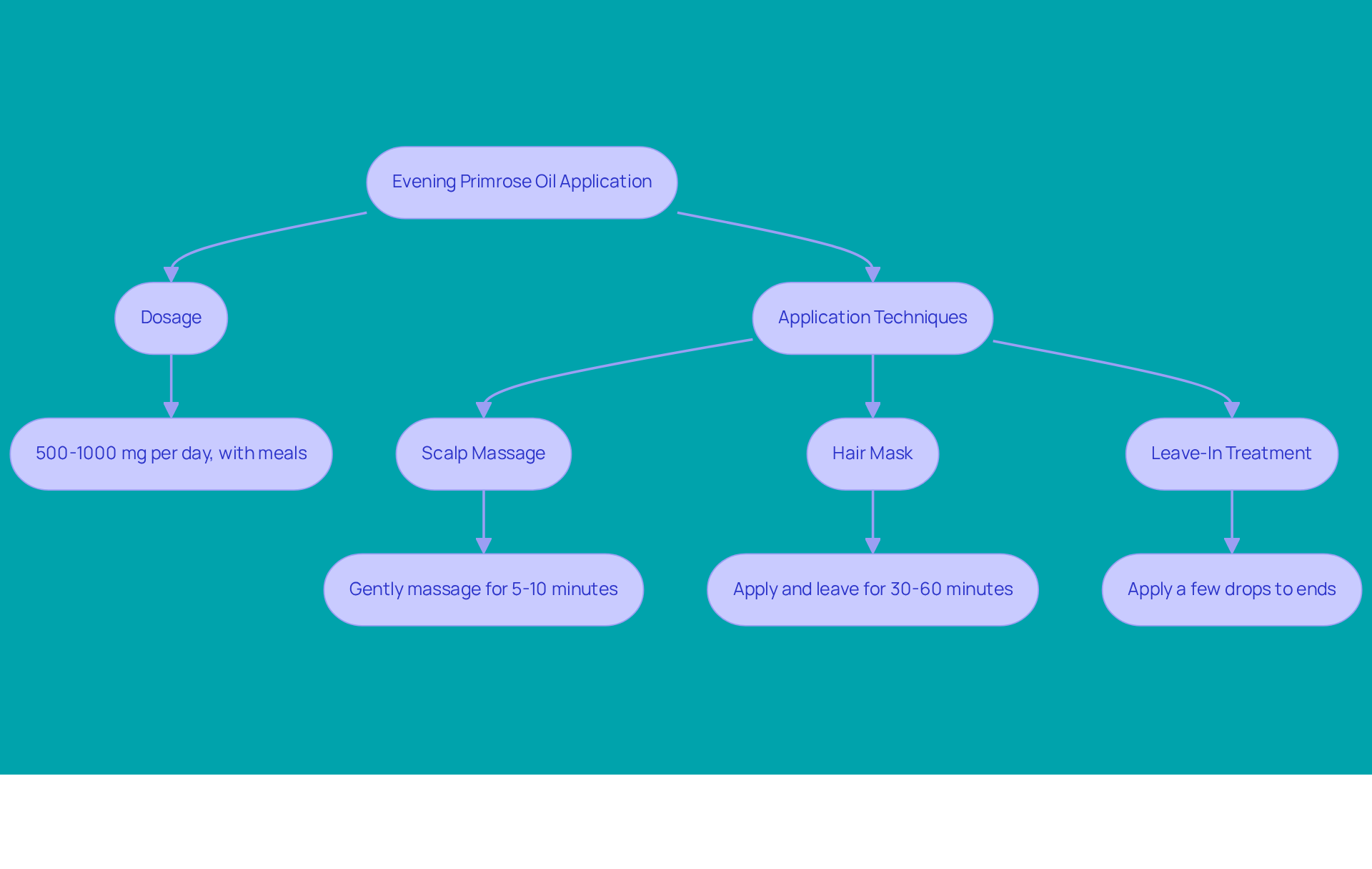 Follow the arrows to see how to use Evening Primrose Oil effectively. Start with the recommended dosage, then choose one of the application techniques to nurture your hair health.