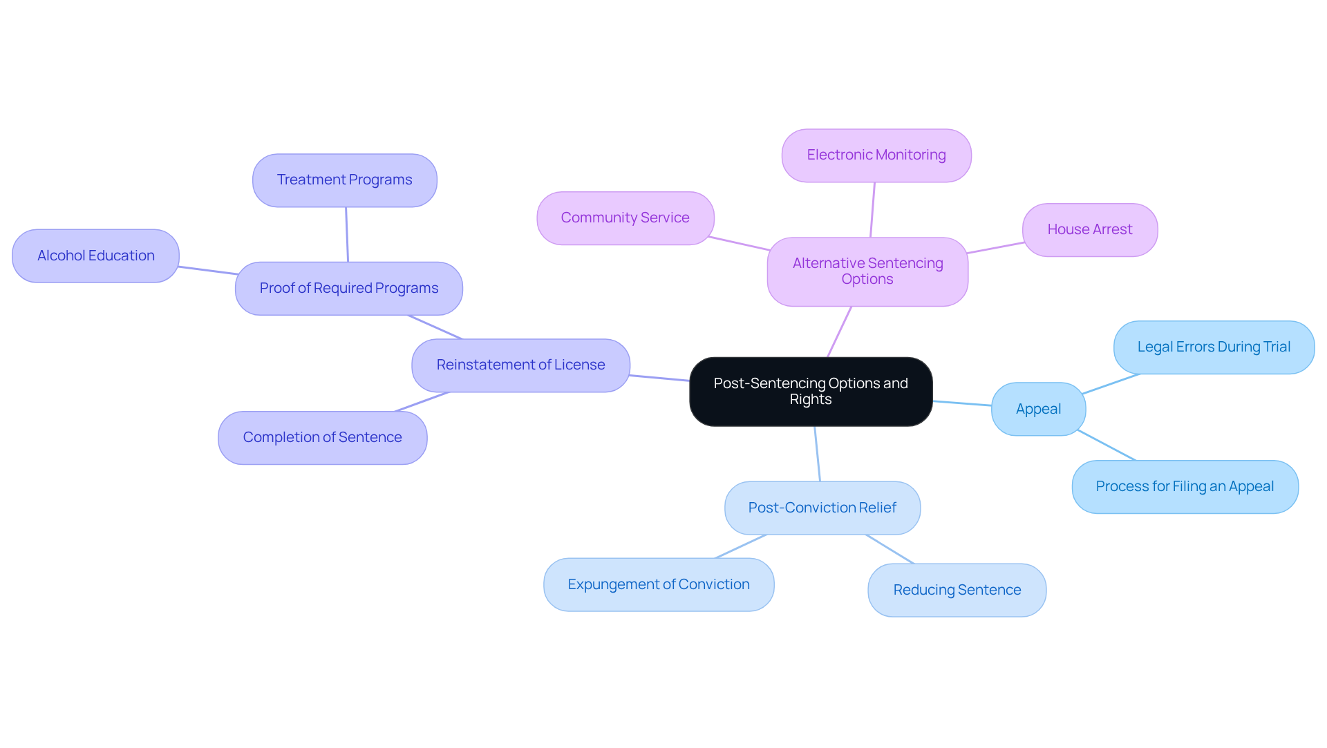 This mindmap shows the different paths you can take after a DUI conviction. Each branch represents a specific option or right you have, helping you visualize your choices and understand what steps you can take next.