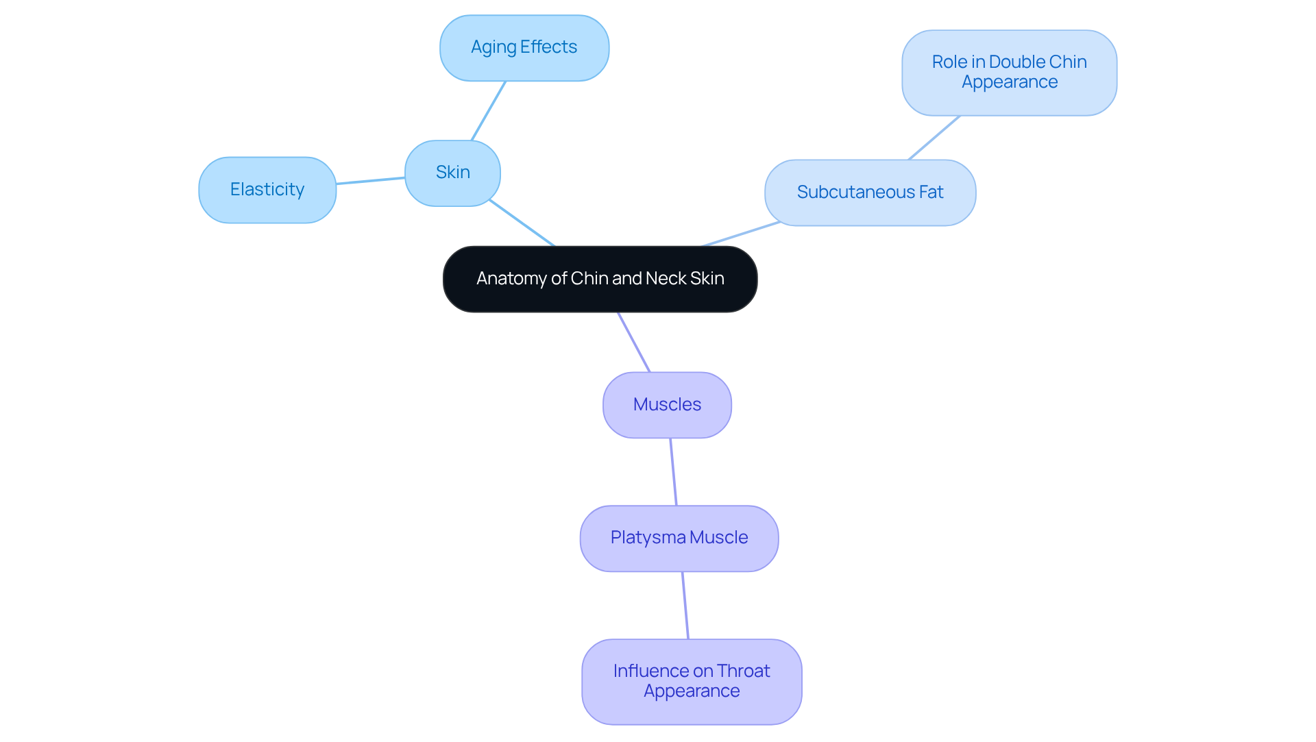 The central node represents the overall topic, while the branches show the key components of chin and neck anatomy. Each branch explains how these layers affect appearance and confidence.
