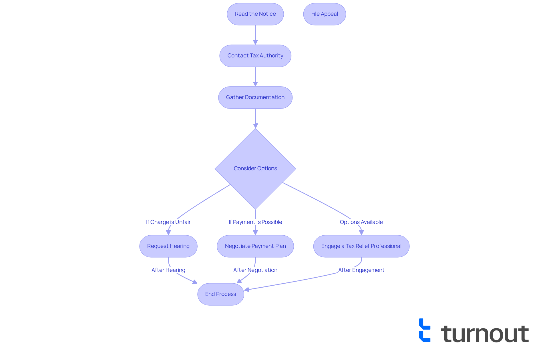 Each box represents a crucial step in handling a tax levy notice. Follow the arrows to ensure you don't miss any important actions in this process. Each box represents a crucial step in handling a tax levy notice. Follow the arrows to ensure you don't miss any important actions in this process.