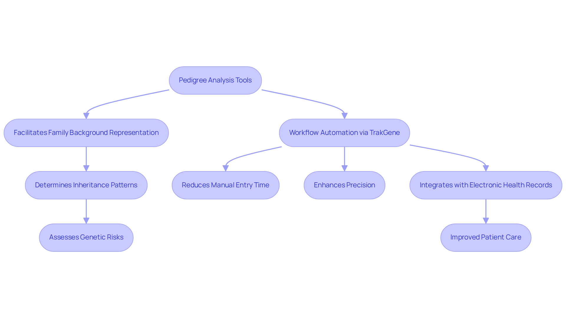 Follow the arrows to see how pedigree analysis tools streamline workflows in healthcare, from representing family backgrounds to improving patient care.