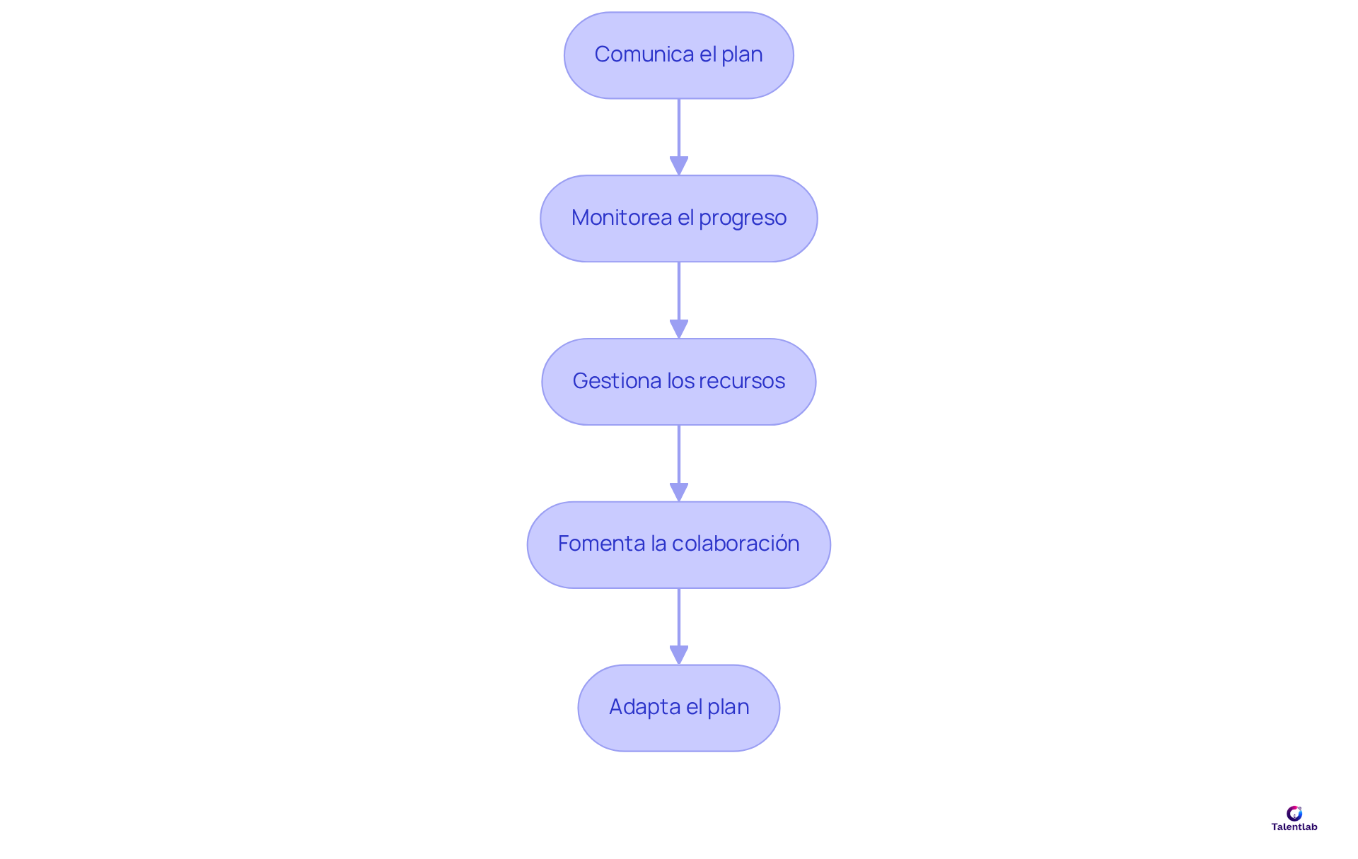 Cada cuadro representa un paso en el proceso de ejecución del proyecto. Sigue las flechas para ver cómo cada paso se relaciona con el siguiente y cómo avanzar en la ejecución del proyecto.