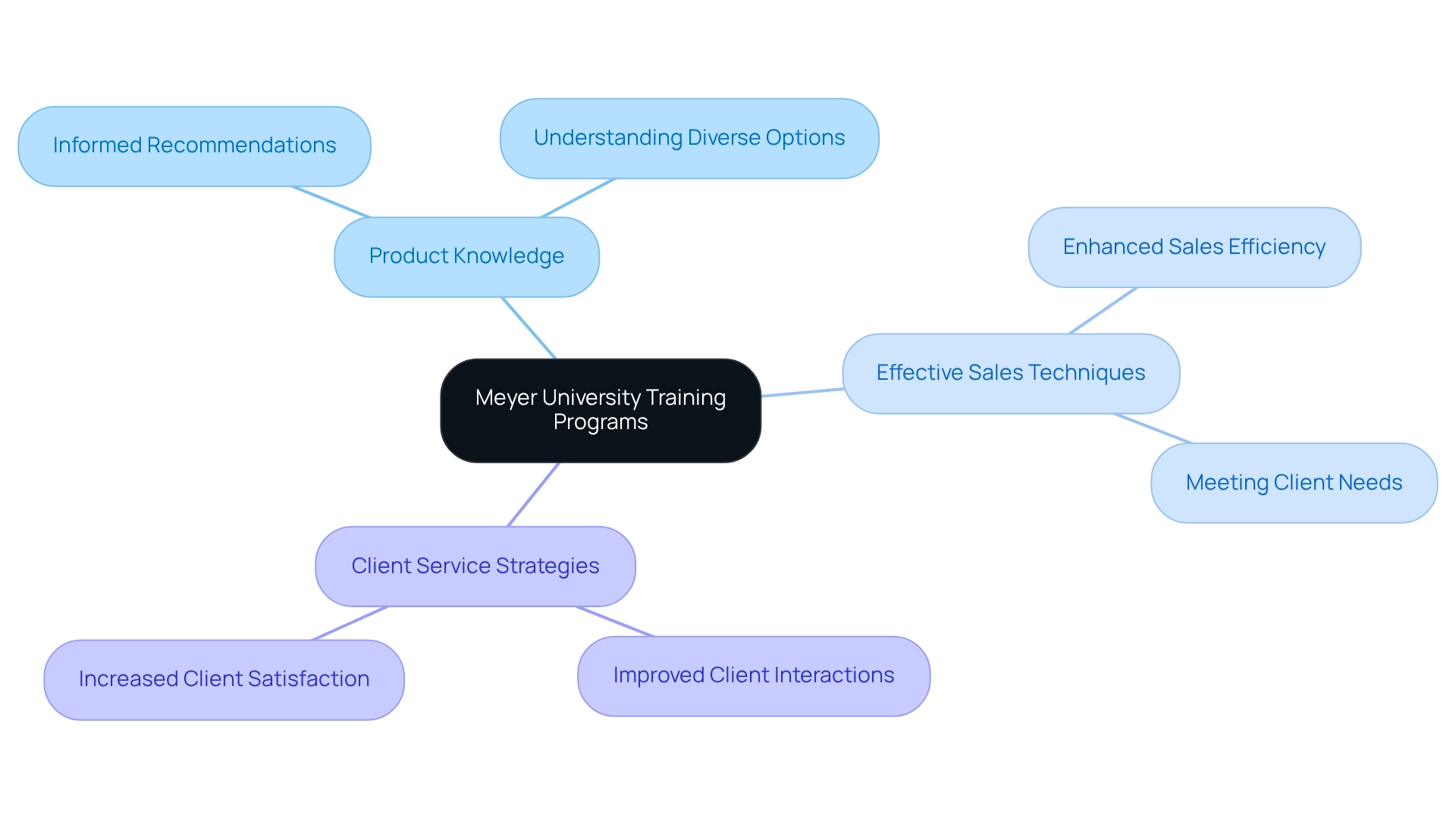 Start at the center with the main training program, then follow the branches to see the specific focus areas and how they contribute to enhancing skills and knowledge in the automotive business.