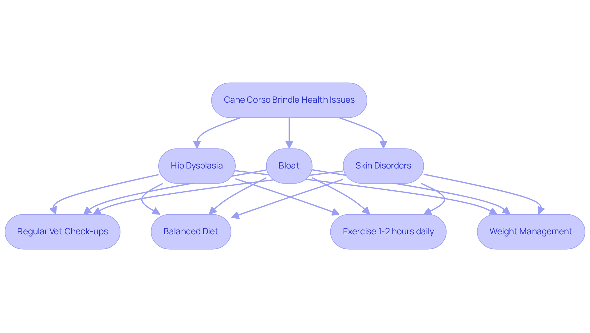 This flowchart shows the health issues and care strategies for Cane Corso Brindle dogs. Start with the main health concerns, and follow the arrows to see the recommended actions you can take to keep your dog healthy.