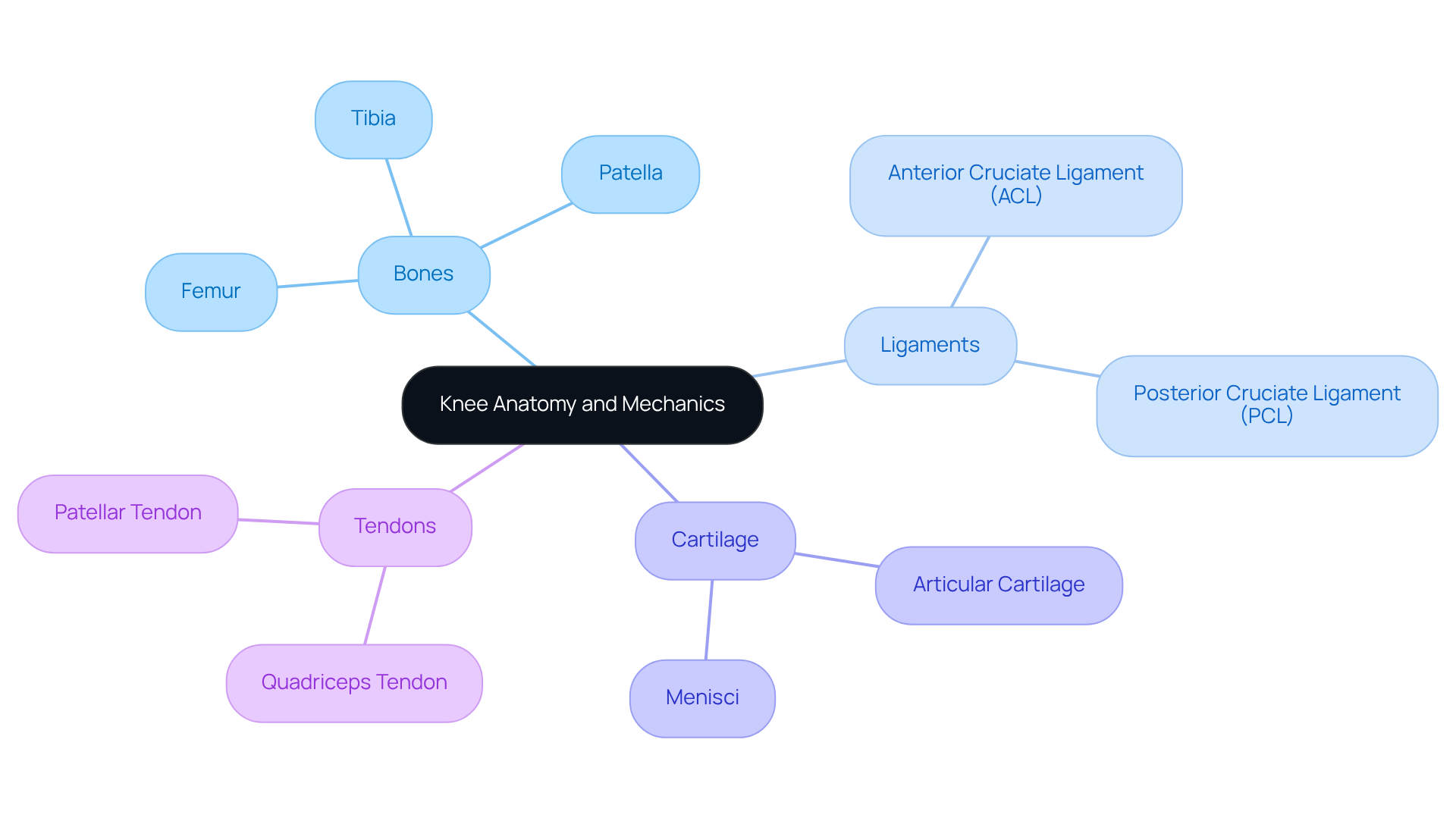 This mindmap illustrates the key components of the knee and their relationships. Start at the center with the main topic, then explore each branch to see how bones, ligaments, cartilage, and tendons work together to support knee function and health. This mindmap illustrates the key components of the knee and their relationships. Start at the center with the main topic, then explore each branch to see how bones, ligaments, cartilage, and tendons work together to support knee function and health.